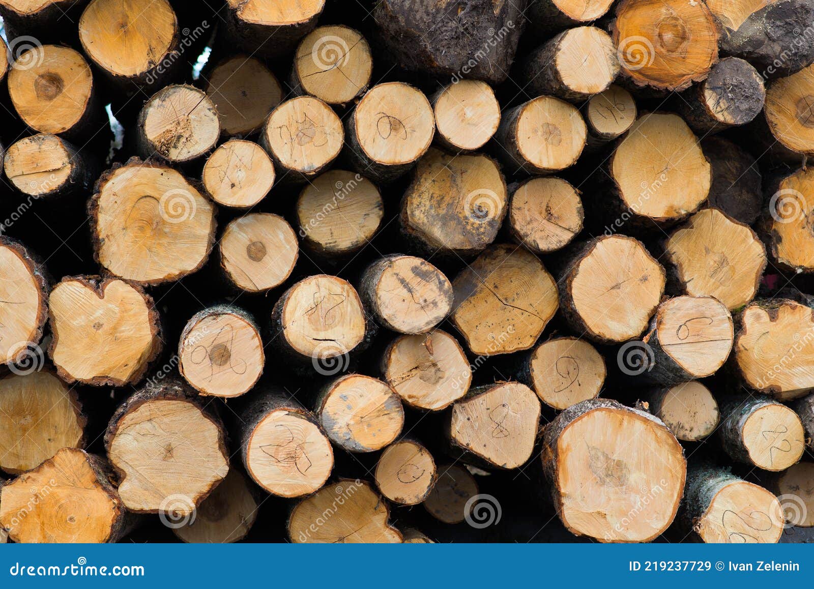 Stacked Wood Pine Timber for Construction Buildings, Background Stock ...