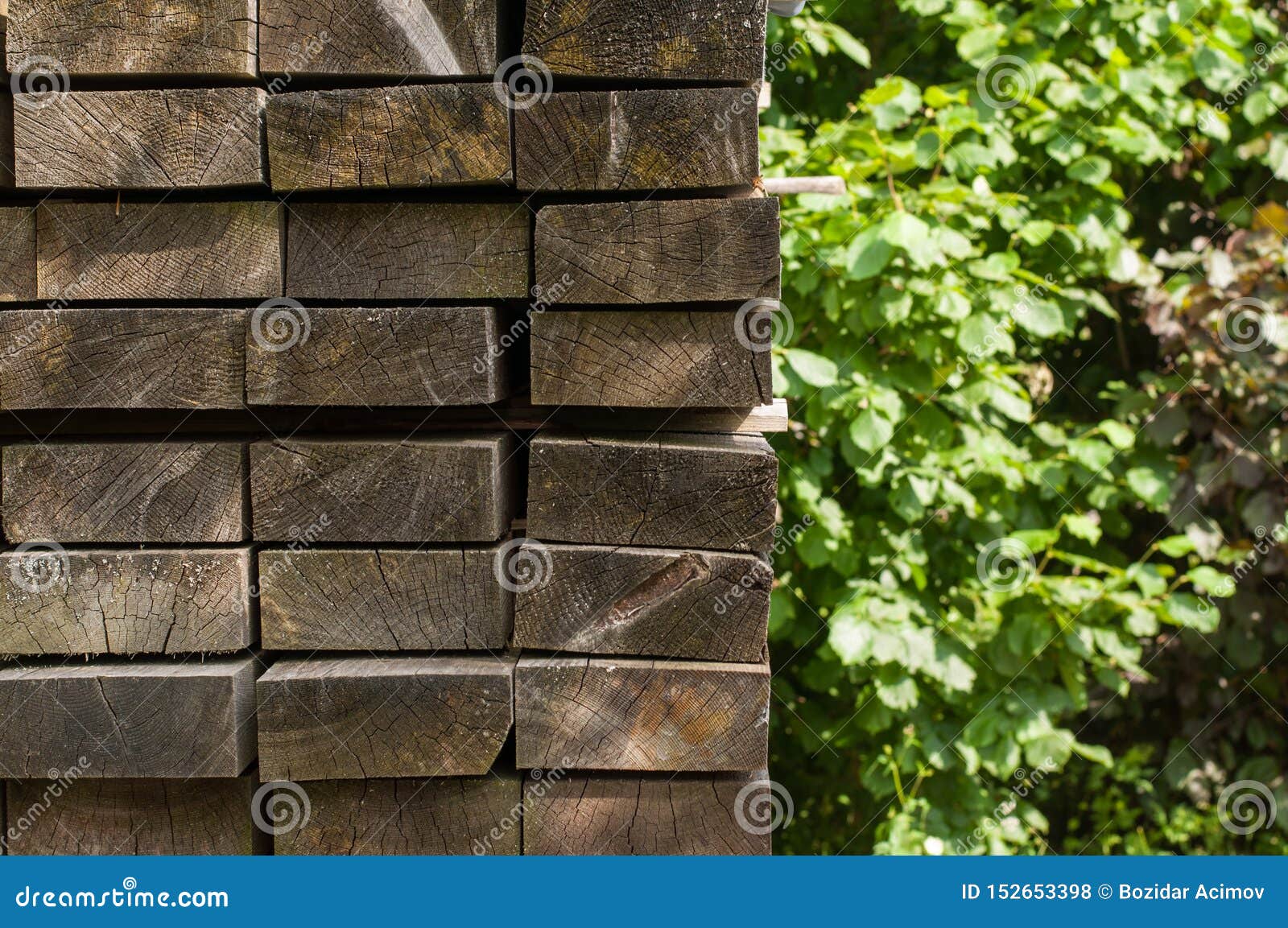Stacked Wood in the Yard.Natural Stock Photo - Image of nature, sawmill ...