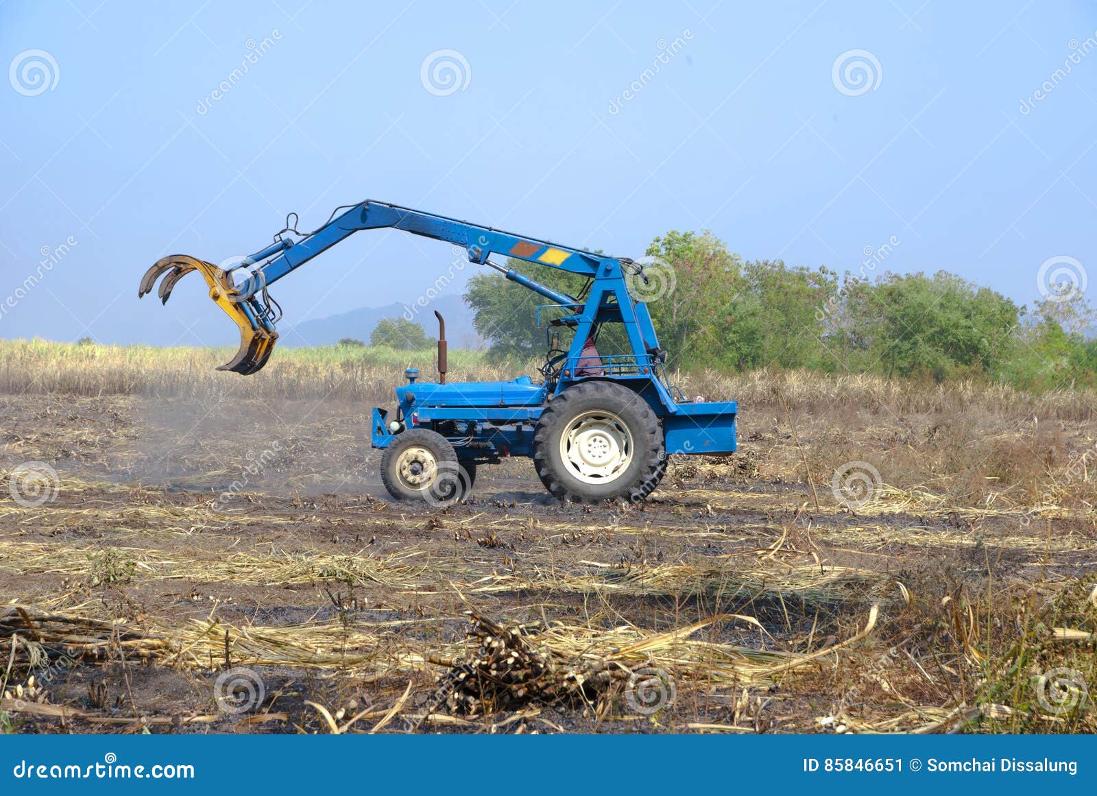 Stacker Cane for Farmer in Thailand Stock Image - Image of industry ...