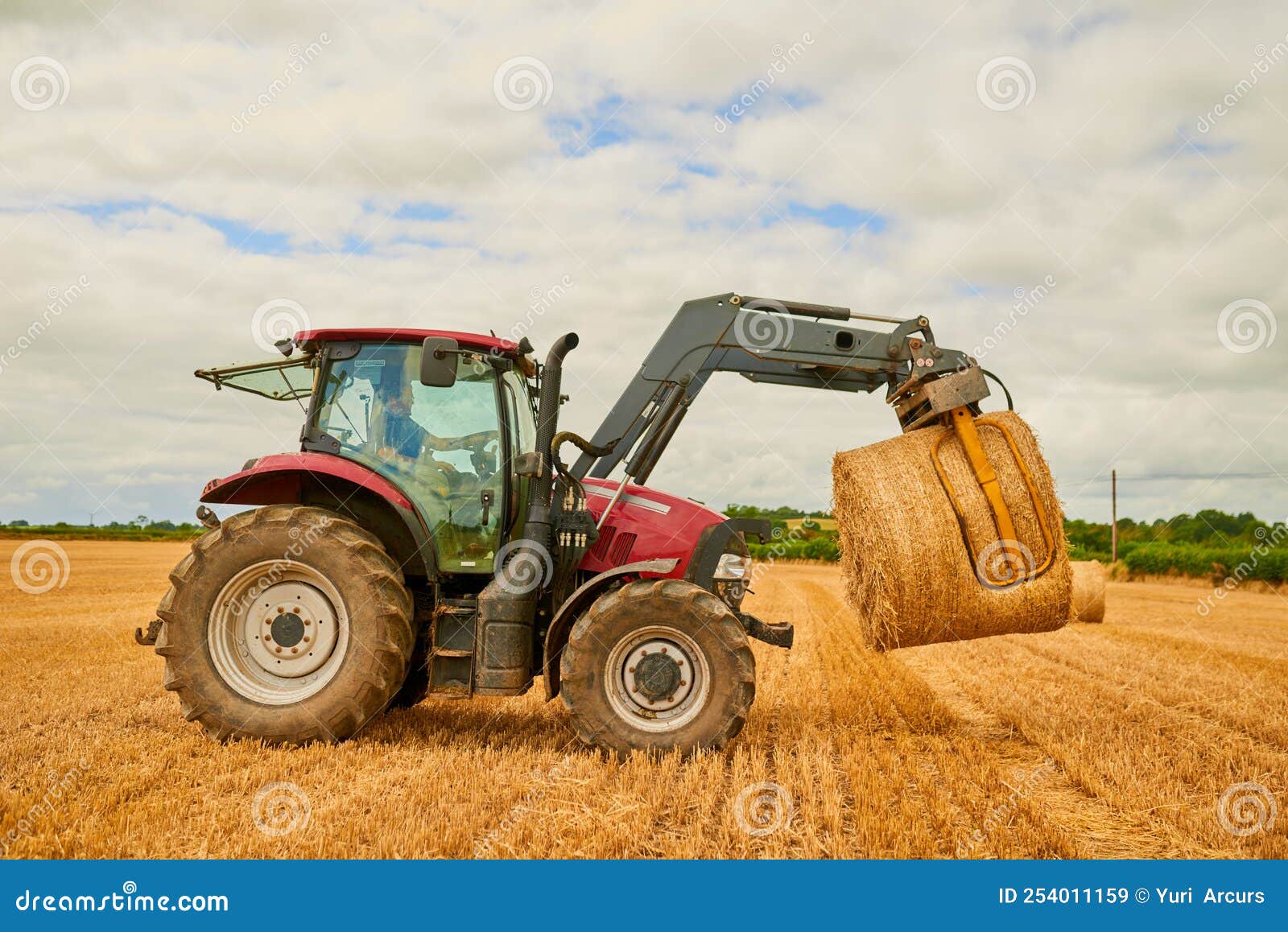 Stacking Bales of Hay. a Farmer Stacking Hale Bales with a Tractor on ...
