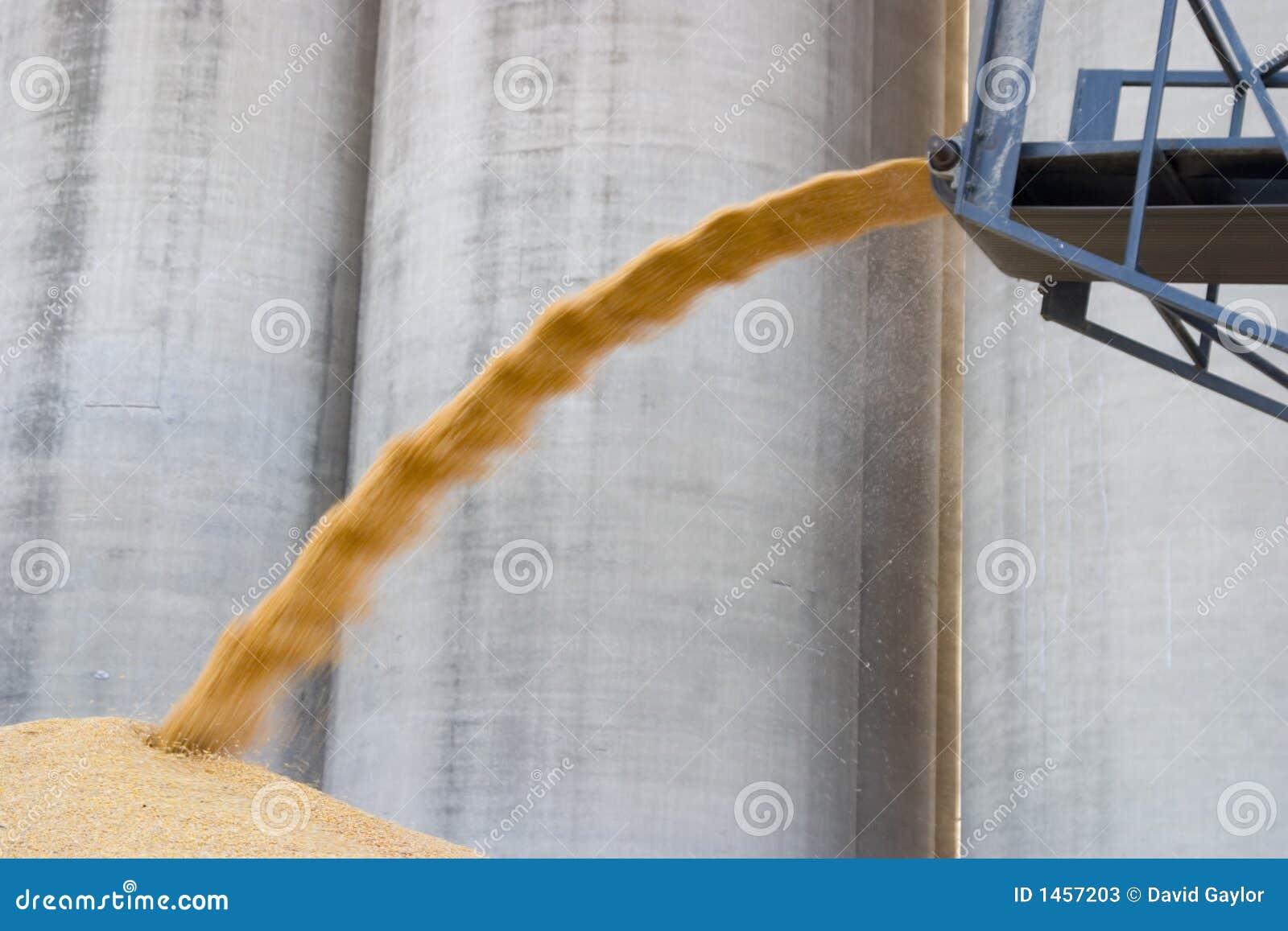 Stacking corn stock image. Image of farm, crop, midwest - 1457203