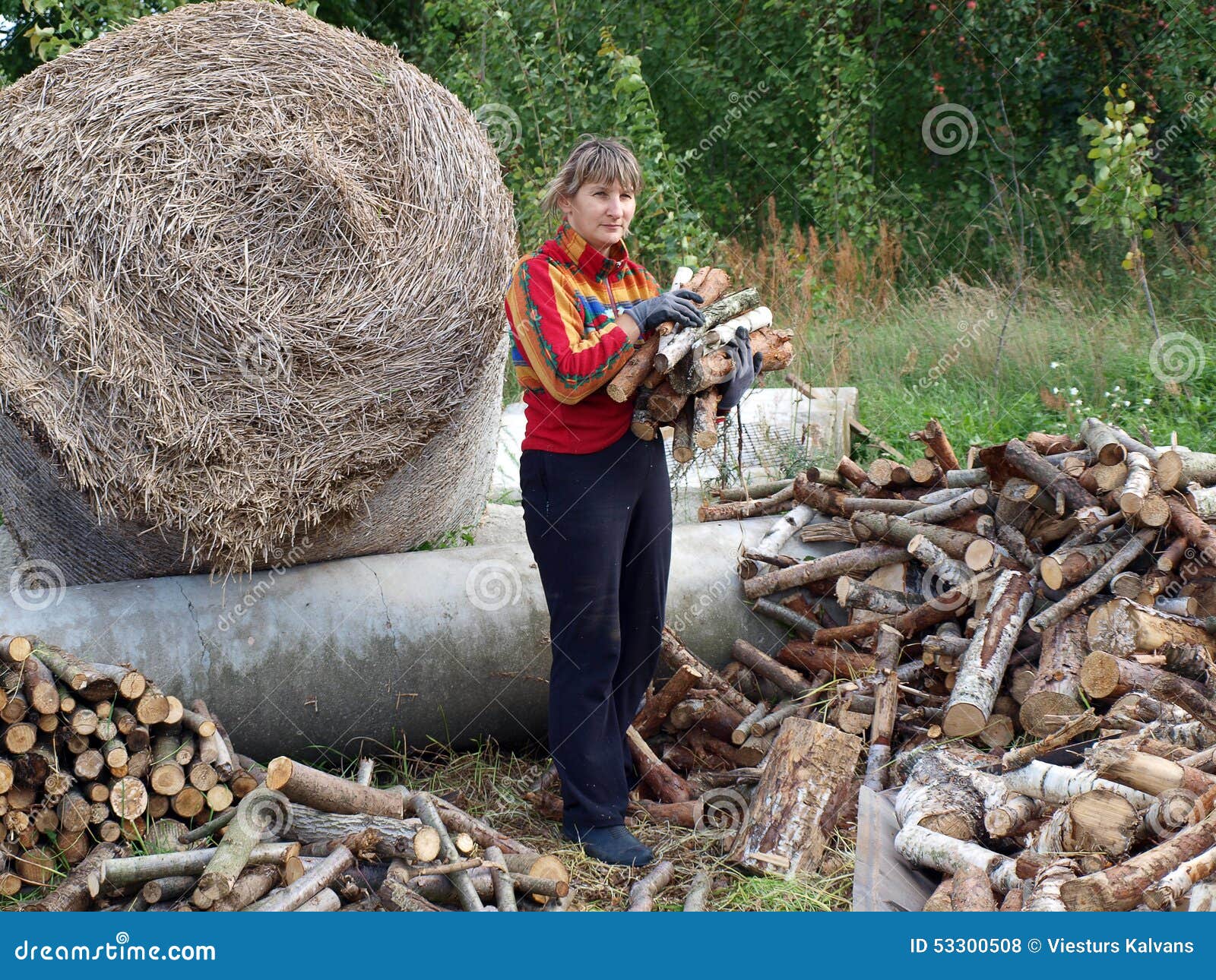 Stacking firewood stock photo. Image of work, woman, yard - 53300508