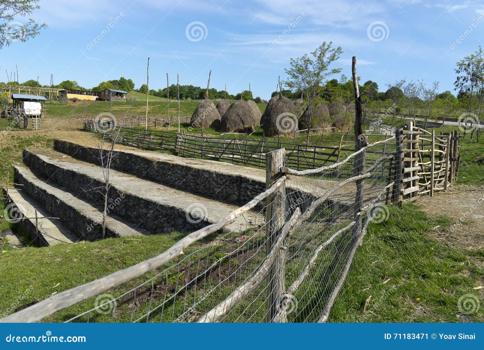 Stacking hay in a ranch stock image. Image of ranch, agri - 71183471