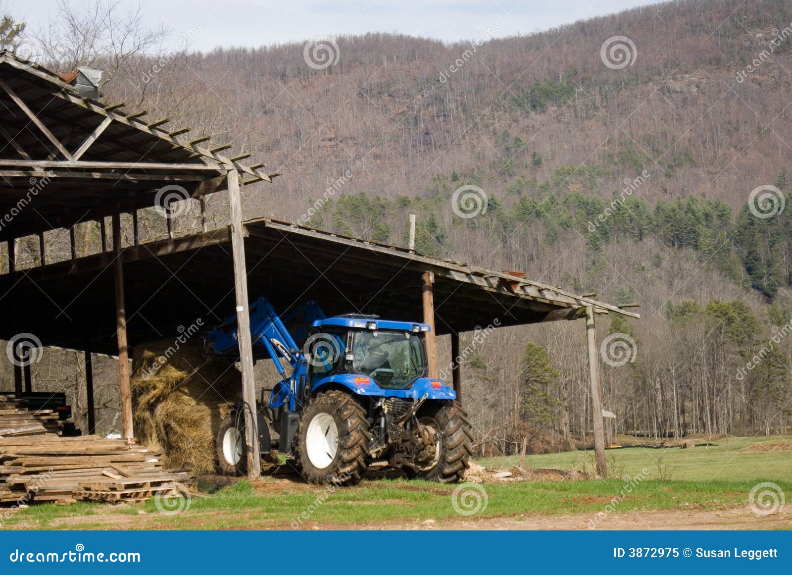 Stacking Hay/Tractor/Barn stock image. Image of blue, bale - 3872975