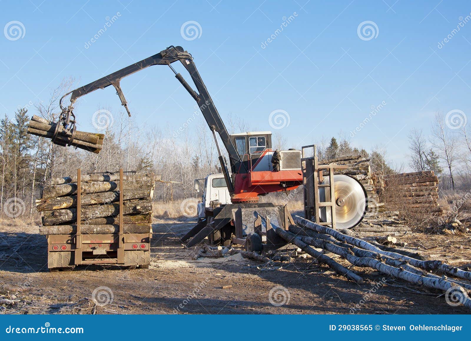 Stacking logs stock image. Image of sustainable, timber - 29038565