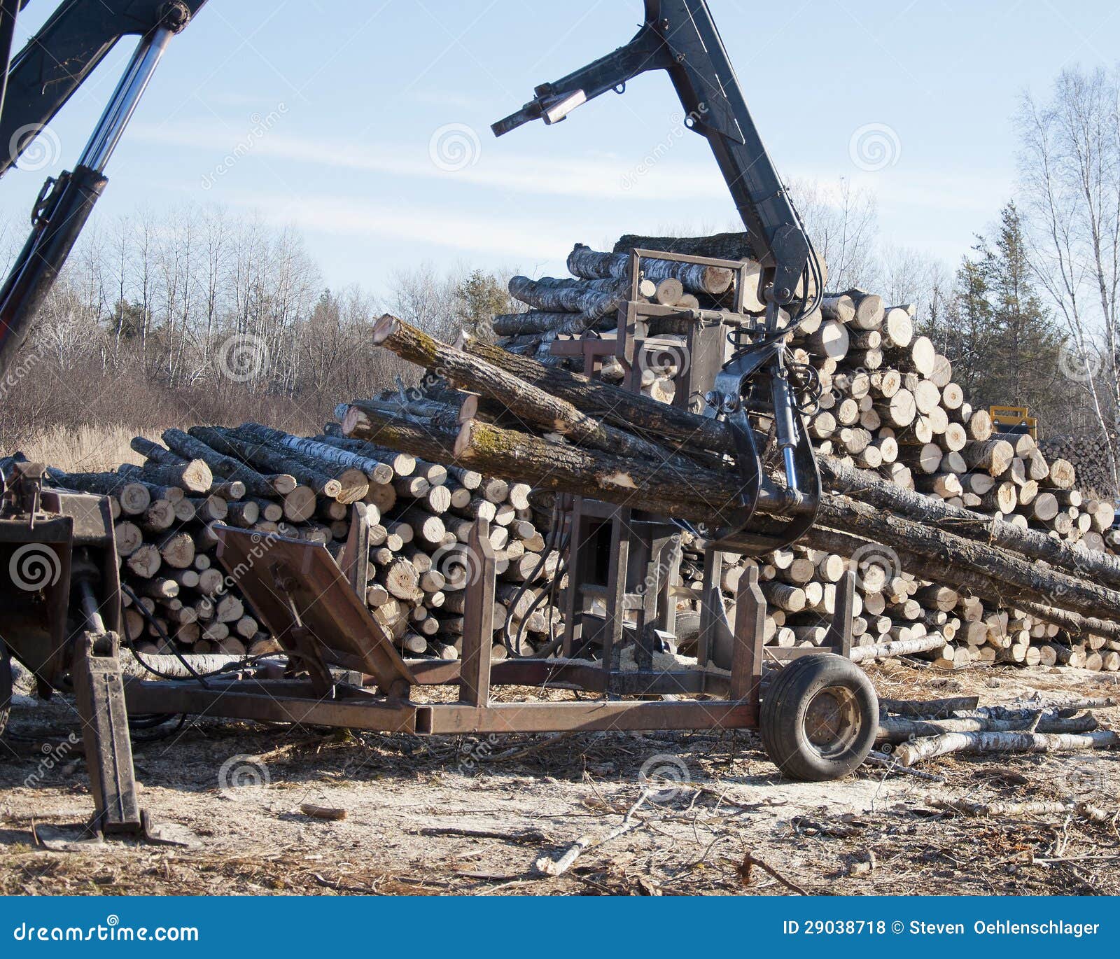 Stacking logs to cut stock photo. Image of forest, logs - 29038718
