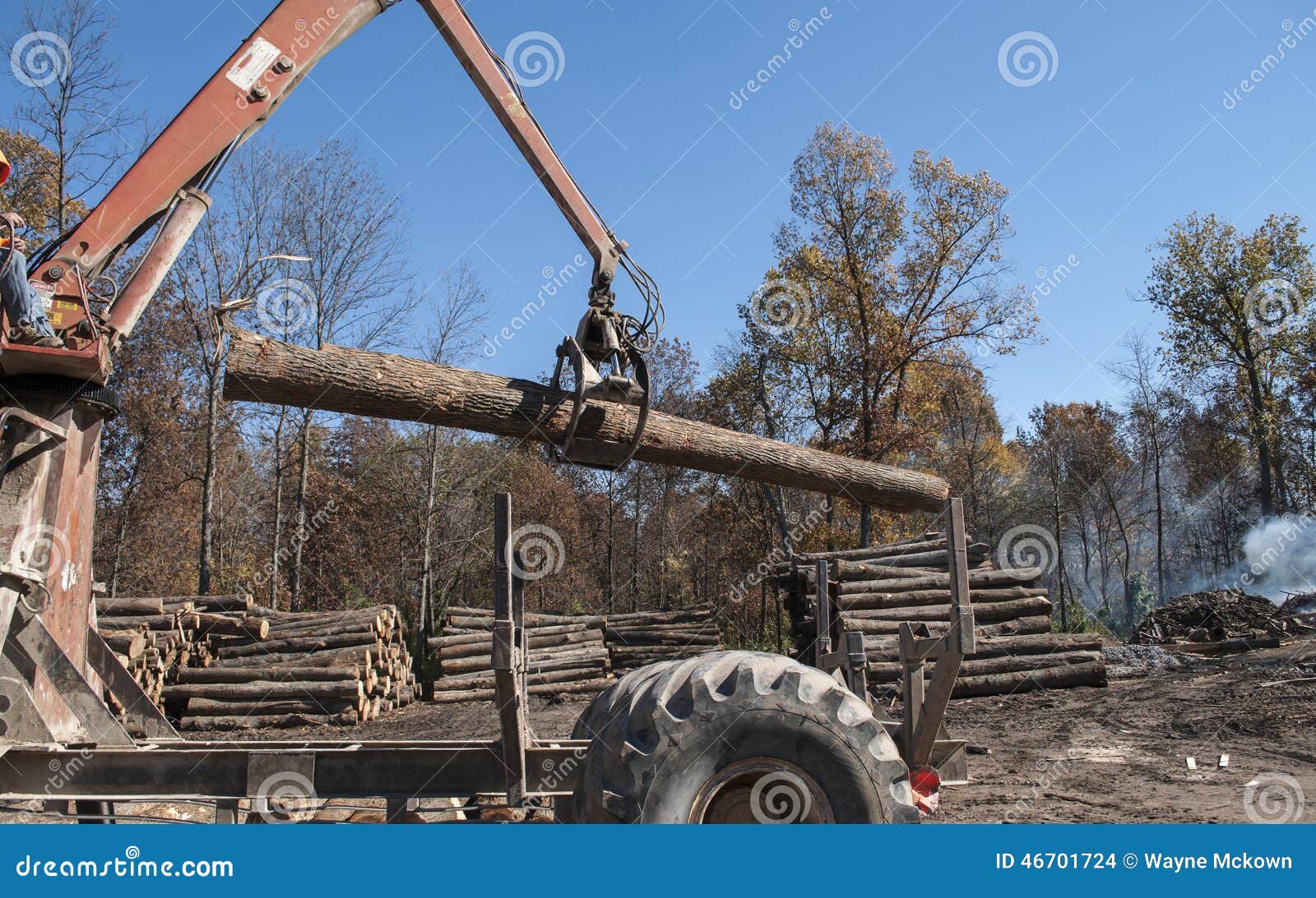 Stacking Tree Logs at a Sawmill Stock Photo - Image of agriculture ...