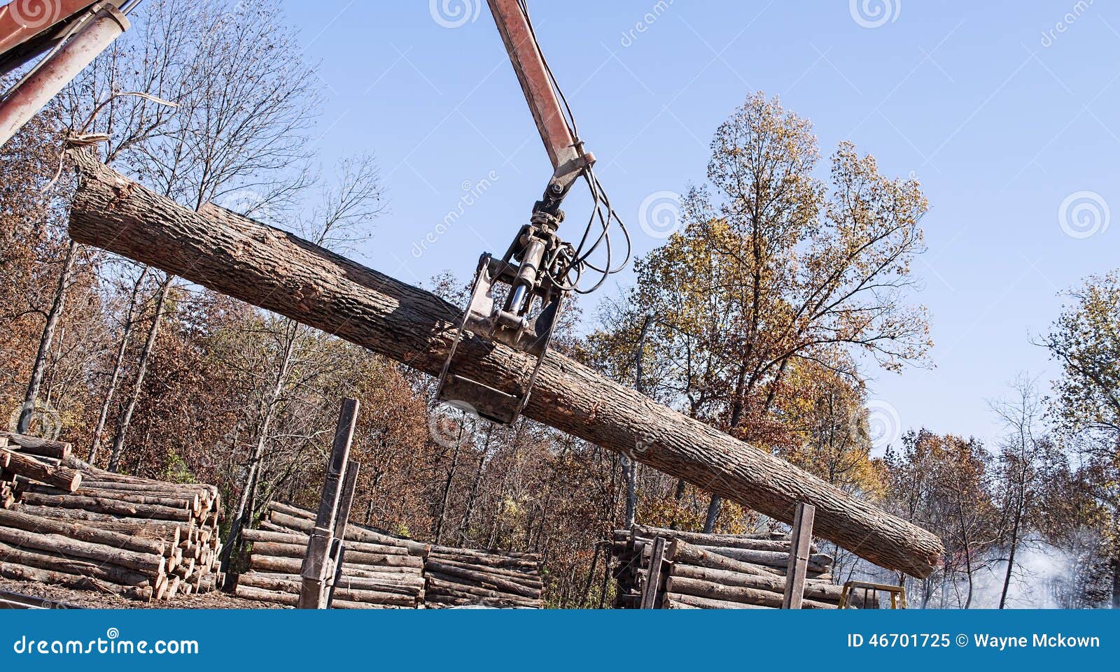 Stacking Tree Logs at a Sawmill Stock Image - Image of cutting, stack ...