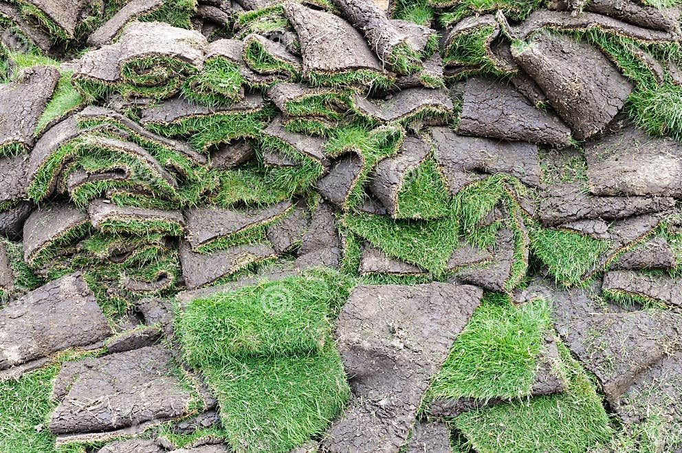 Stacking of turf stock image. Image of full, gardening - 30382703
