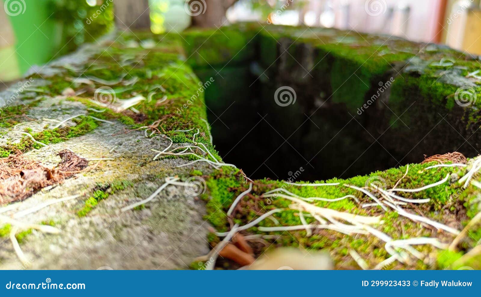 Stacks of Bricks Full of Damp Debris Stock Image - Image of brick ...