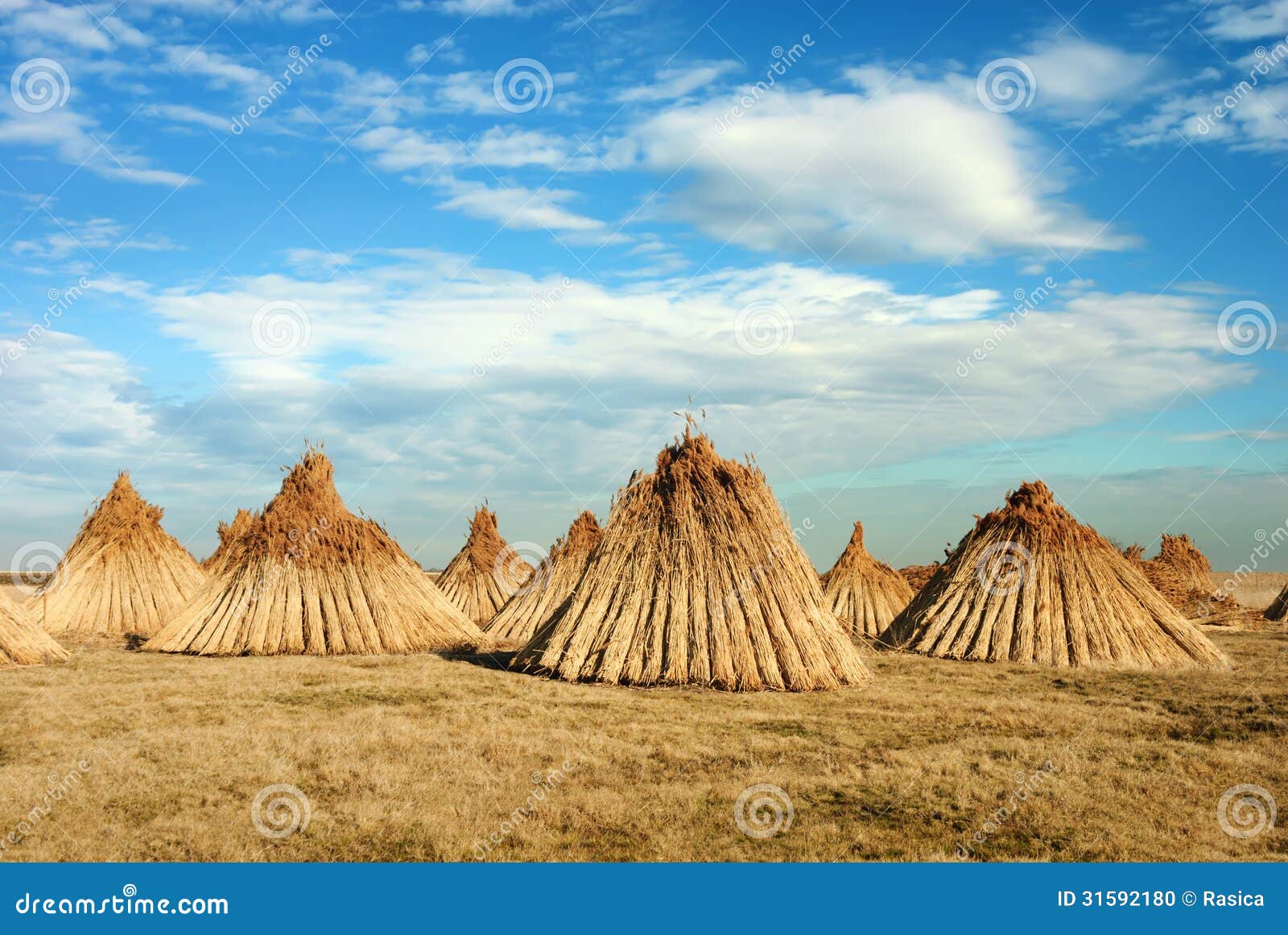 Stacks of Cane in a Conical Shape. Stock Photo - Image of nonurban ...