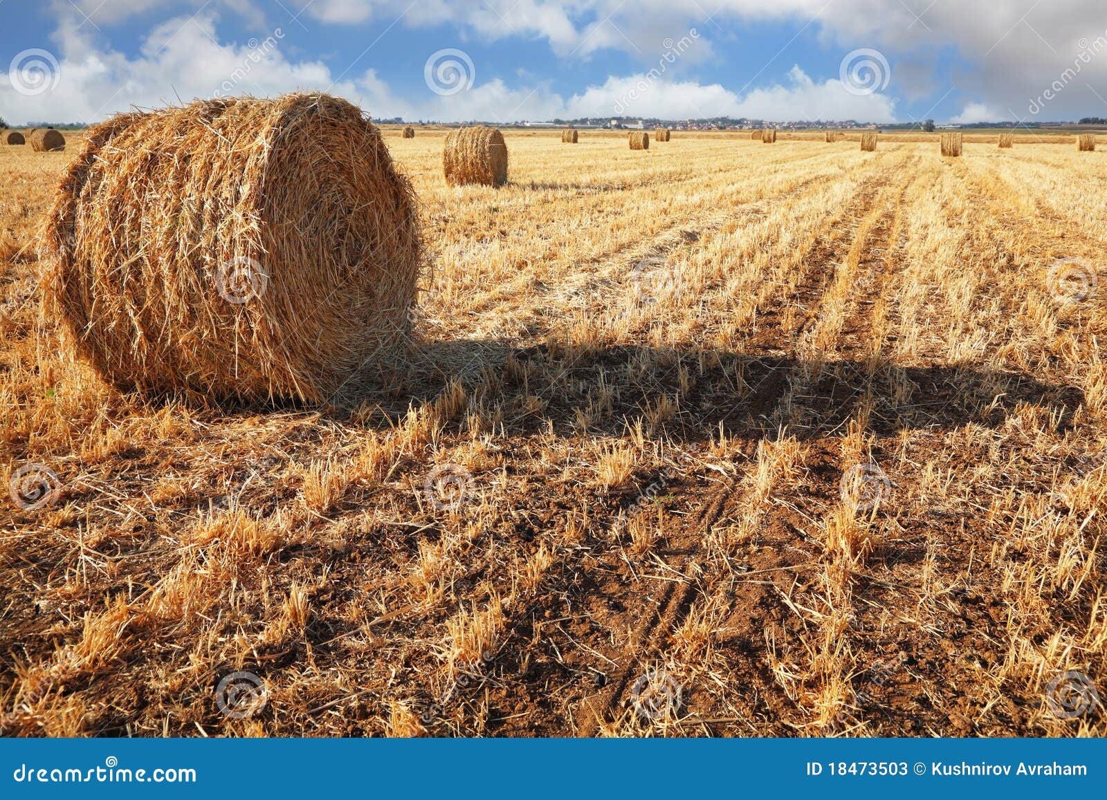 Stacks of collected wheat stock image. Image of sunset - 18473503