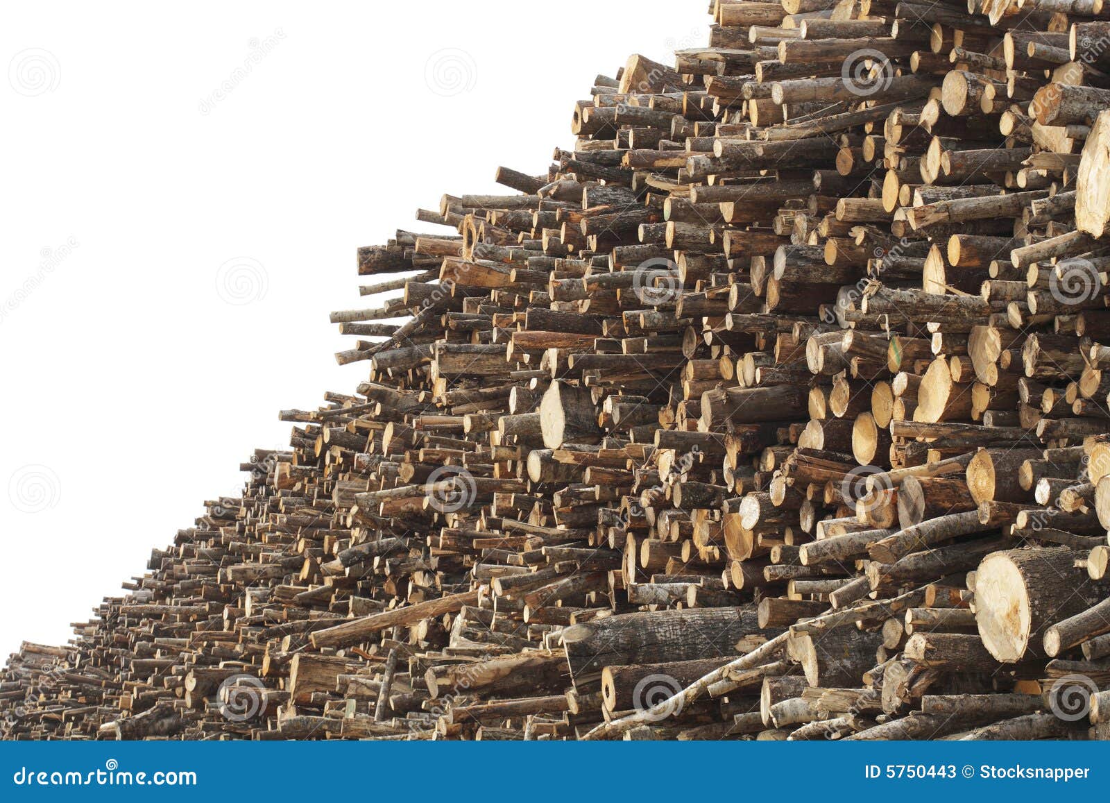 Stacks of cut logs stock image. Image of timber, high - 5750443