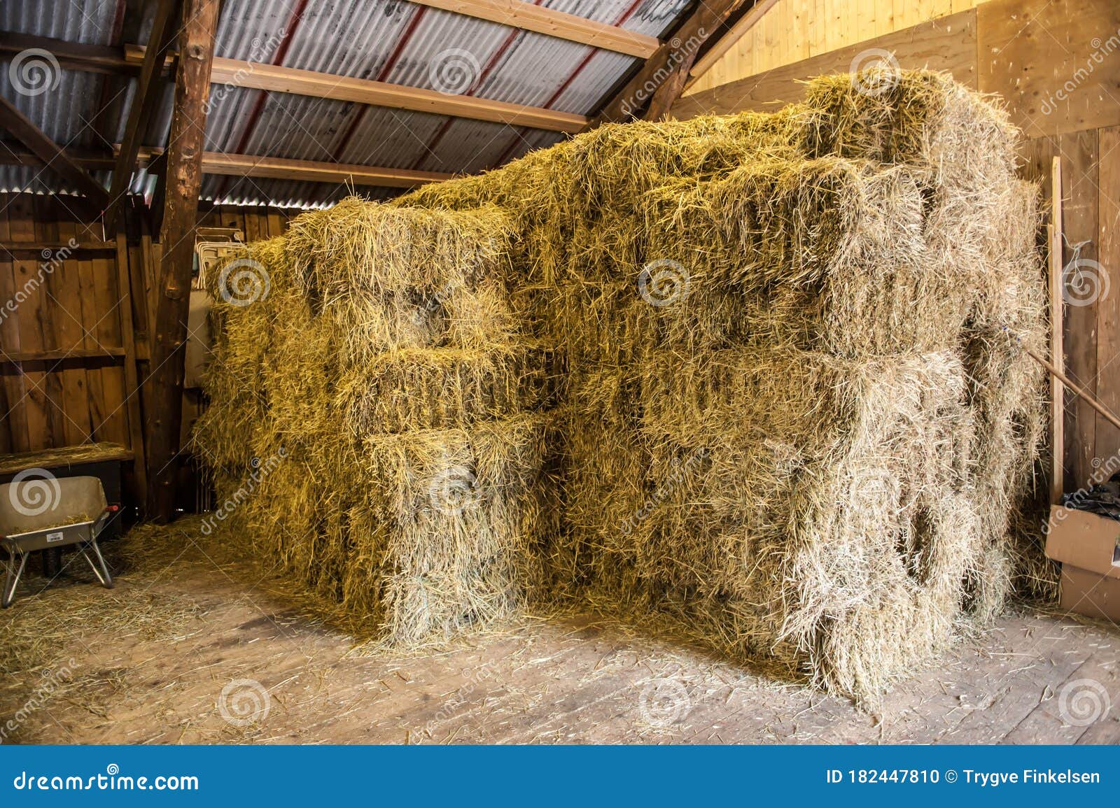 Stacks of Dry Hay in a Barn Stock Photo - Image of harvest, grain ...