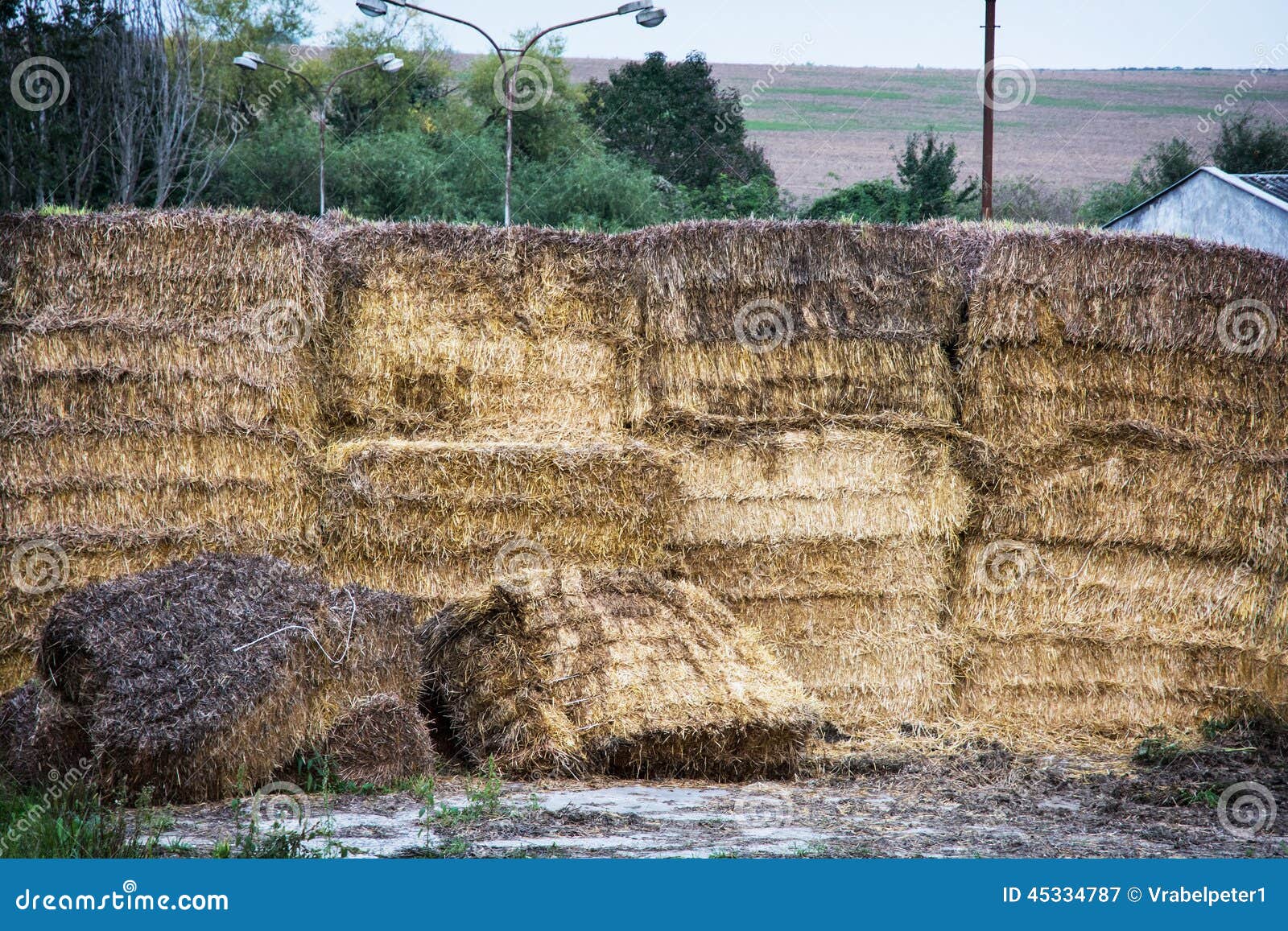 Stacks of dry hay stock image. Image of europe, farming - 45334787