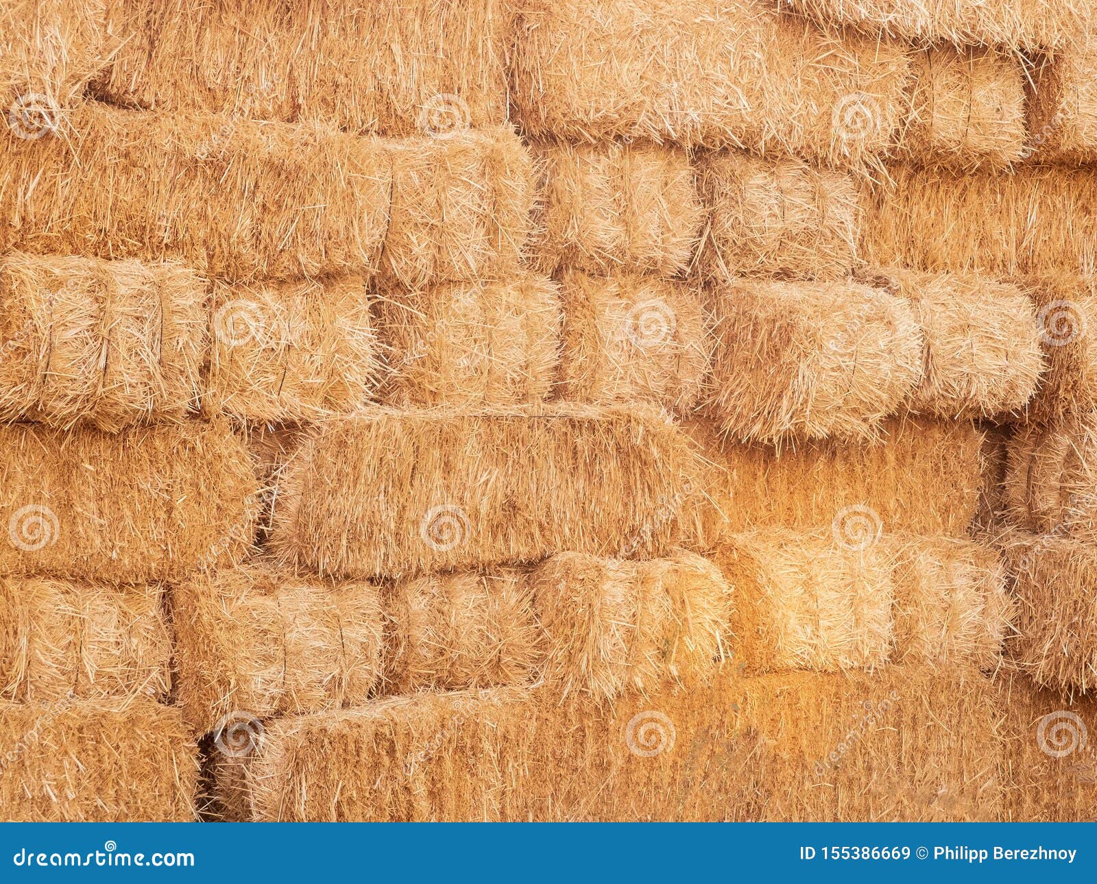 Stacks of Dry Straw. Piled Straw Haystacks Stock Image - Image of ...