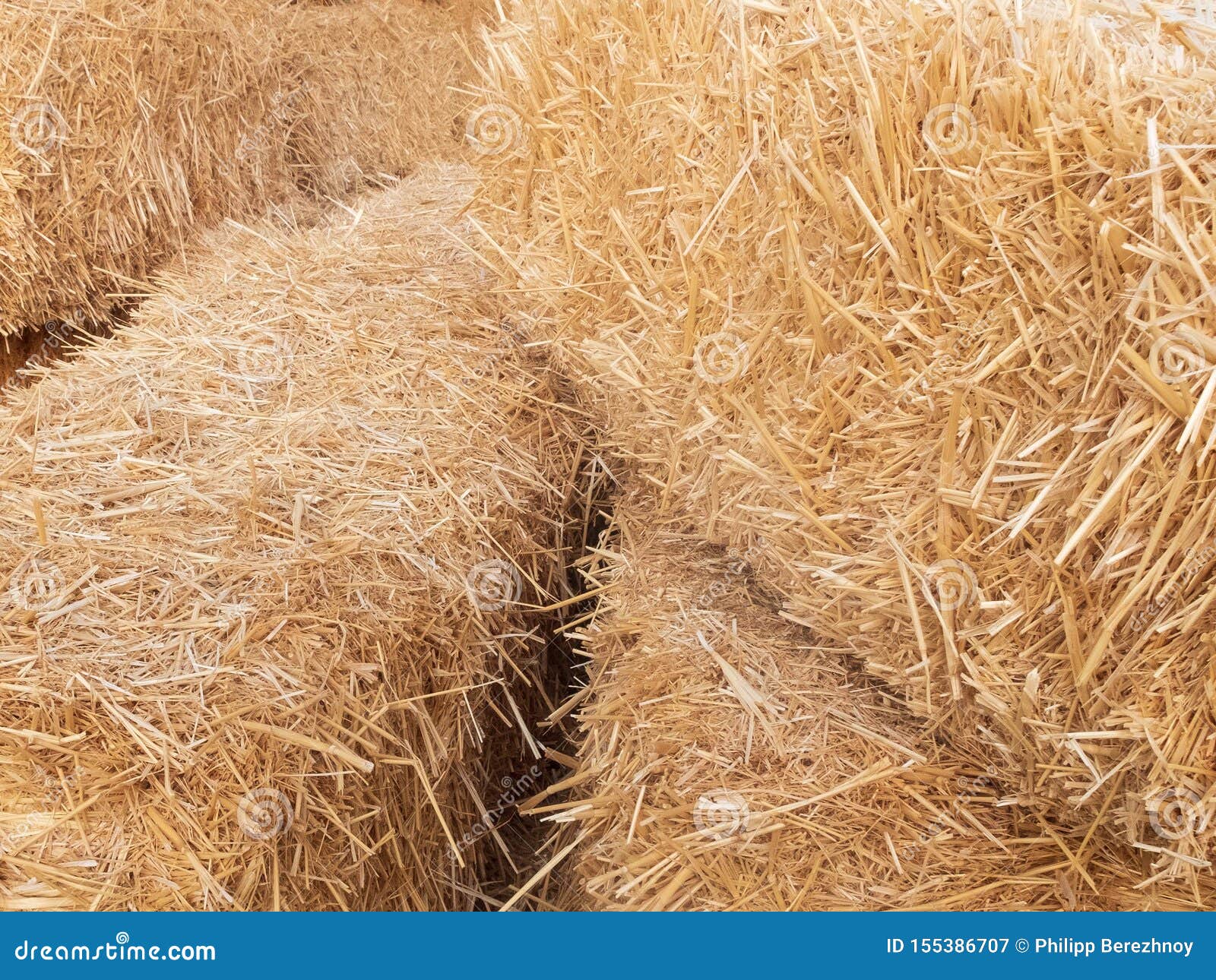 Stacks of Dry Straw. Piled Straw Haystacks Stock Image - Image of farm ...
