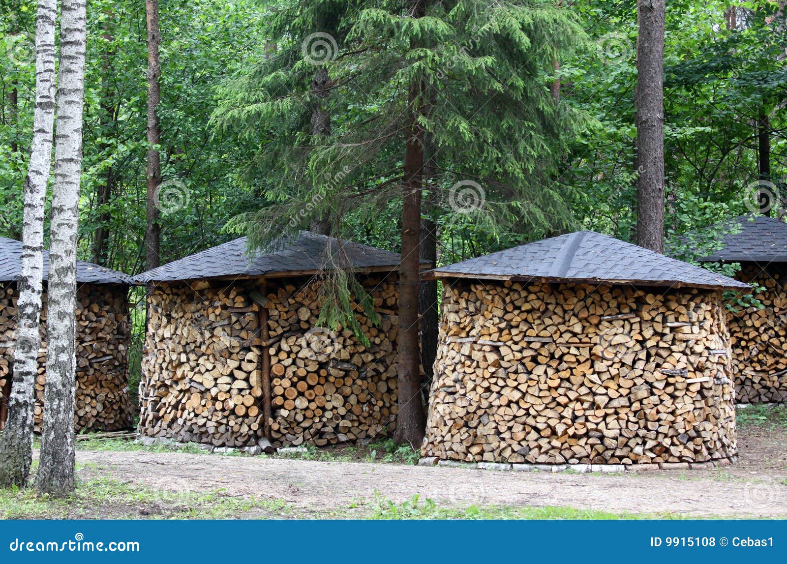 Stacks of firewood stock photo. Image of order, rural - 9915108