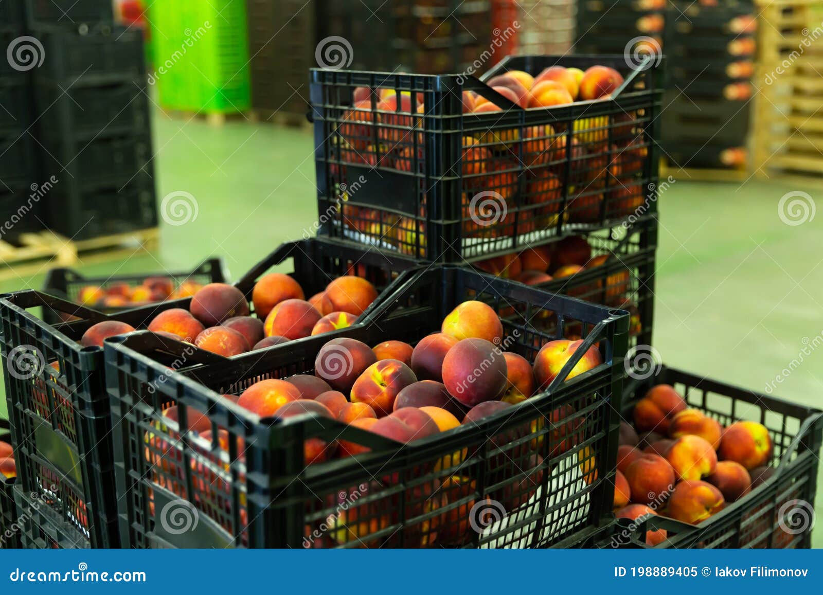 Stacks of Fruit Boxes with Fresh Peaches in Storage Warehouse Stock ...