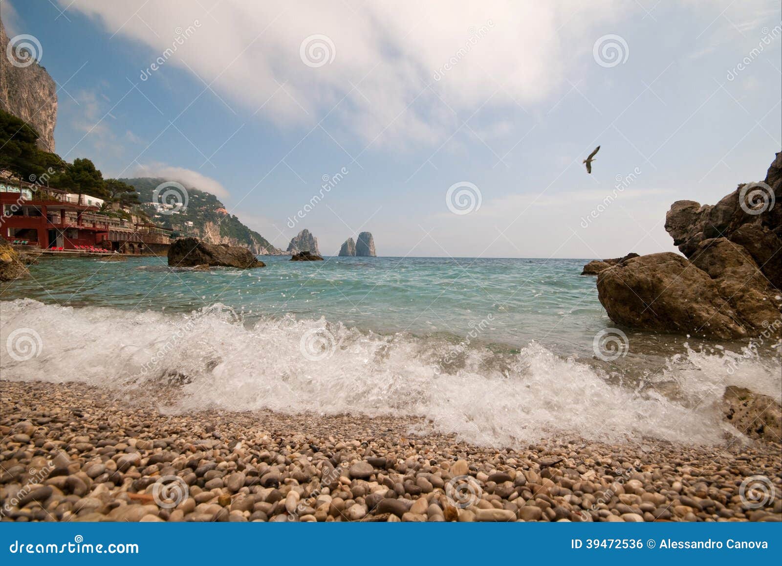 The Stacks of Goats in the Capri Island Stock Photo - Image of naples ...