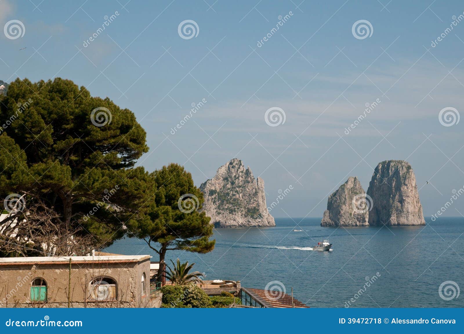 The Stacks of Goats in the Capri Island Stock Photo - Image of rock ...