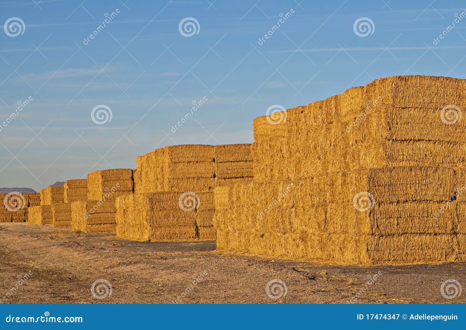 Stacks of Hay stock image. Image of piled, united, textures - 17474347