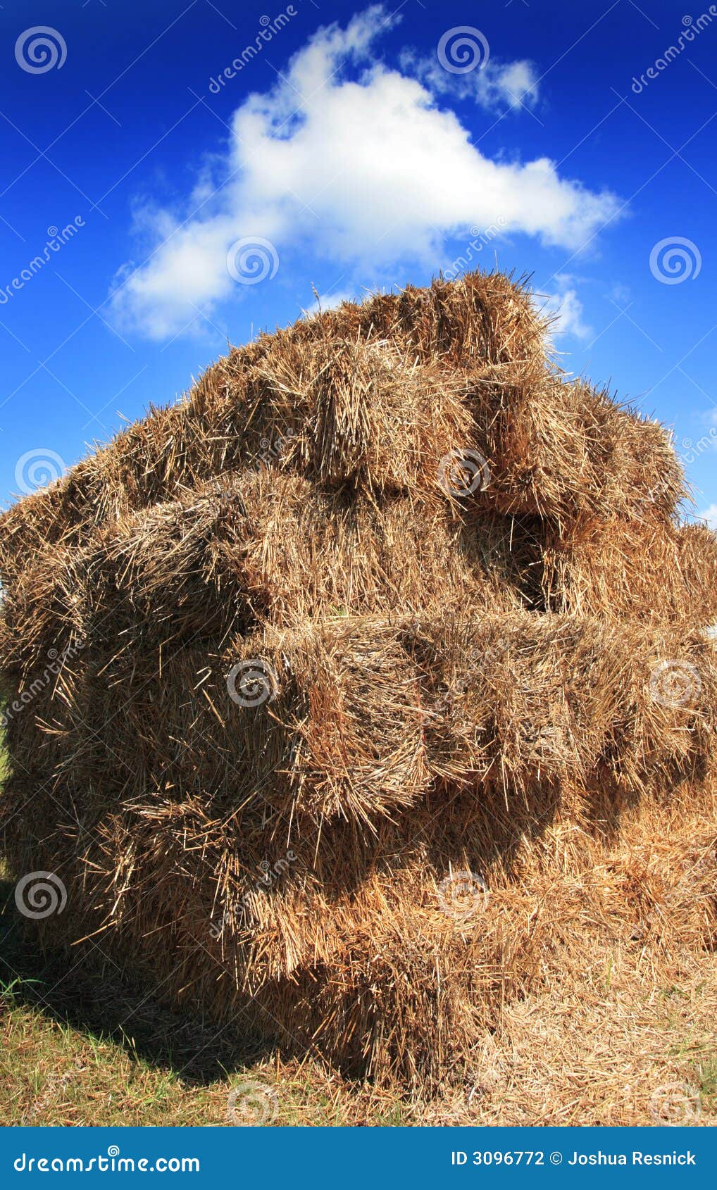 Stacks of Hay stock photo. Image of harvest, farm, rustic - 3096772