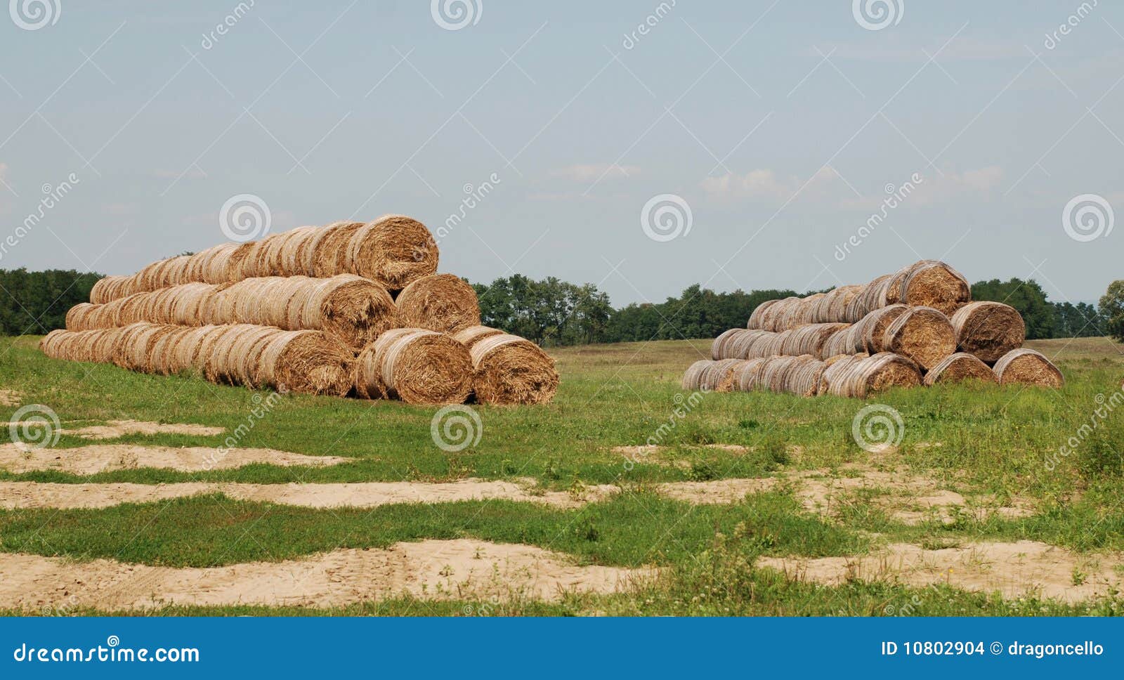 Stacks of Hay Bales stock photo. Image of agriculture - 10802904