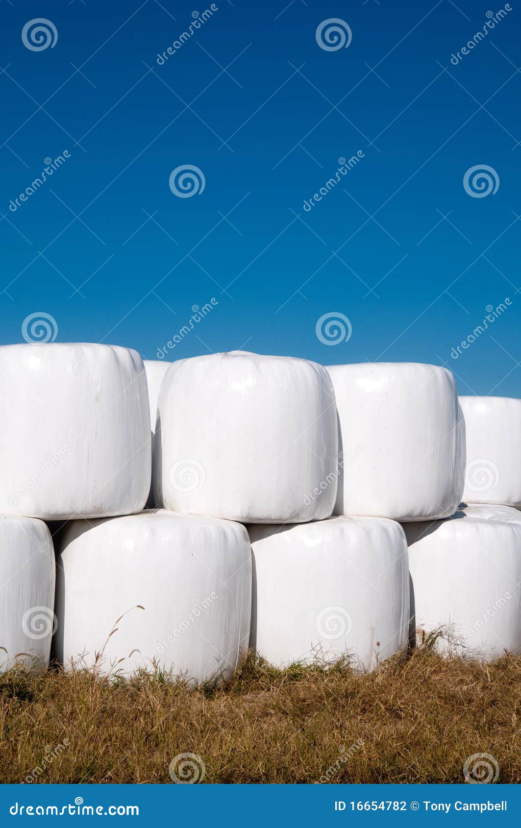 Stacks of Hay Bales Wrapped in Plastic Stock Photo - Image of rural ...
