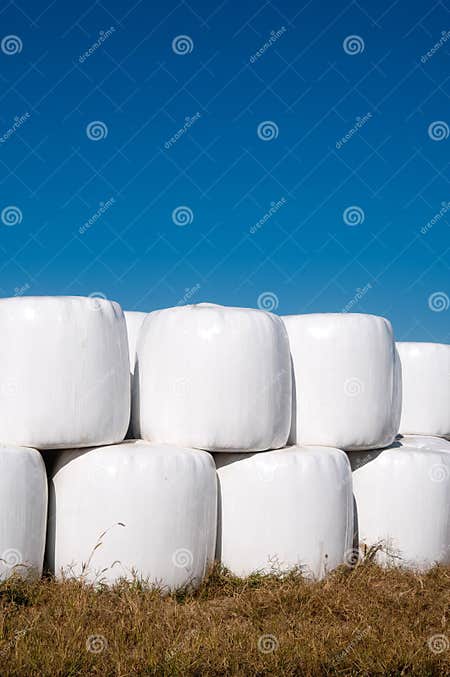 Stacks of Hay Bales Wrapped in Plastic Stock Photo - Image of rural ...