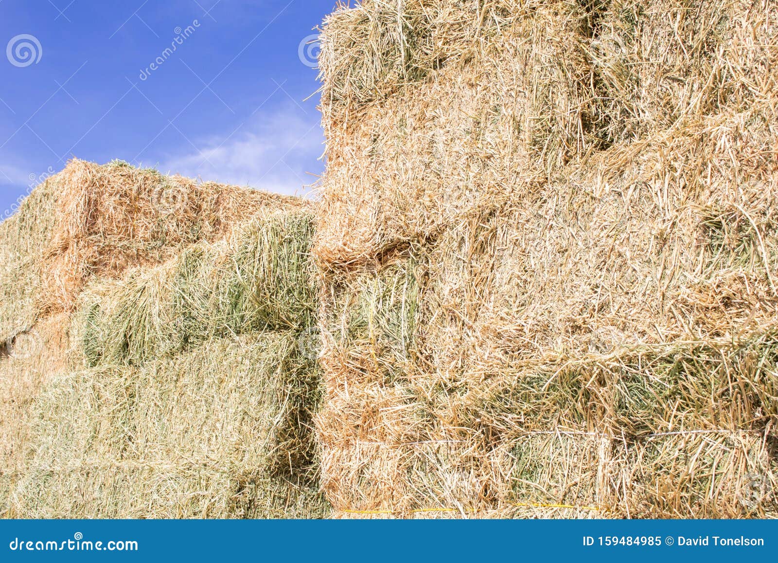 Stacks of haystacks stock image. Image of food, fiber - 159484985