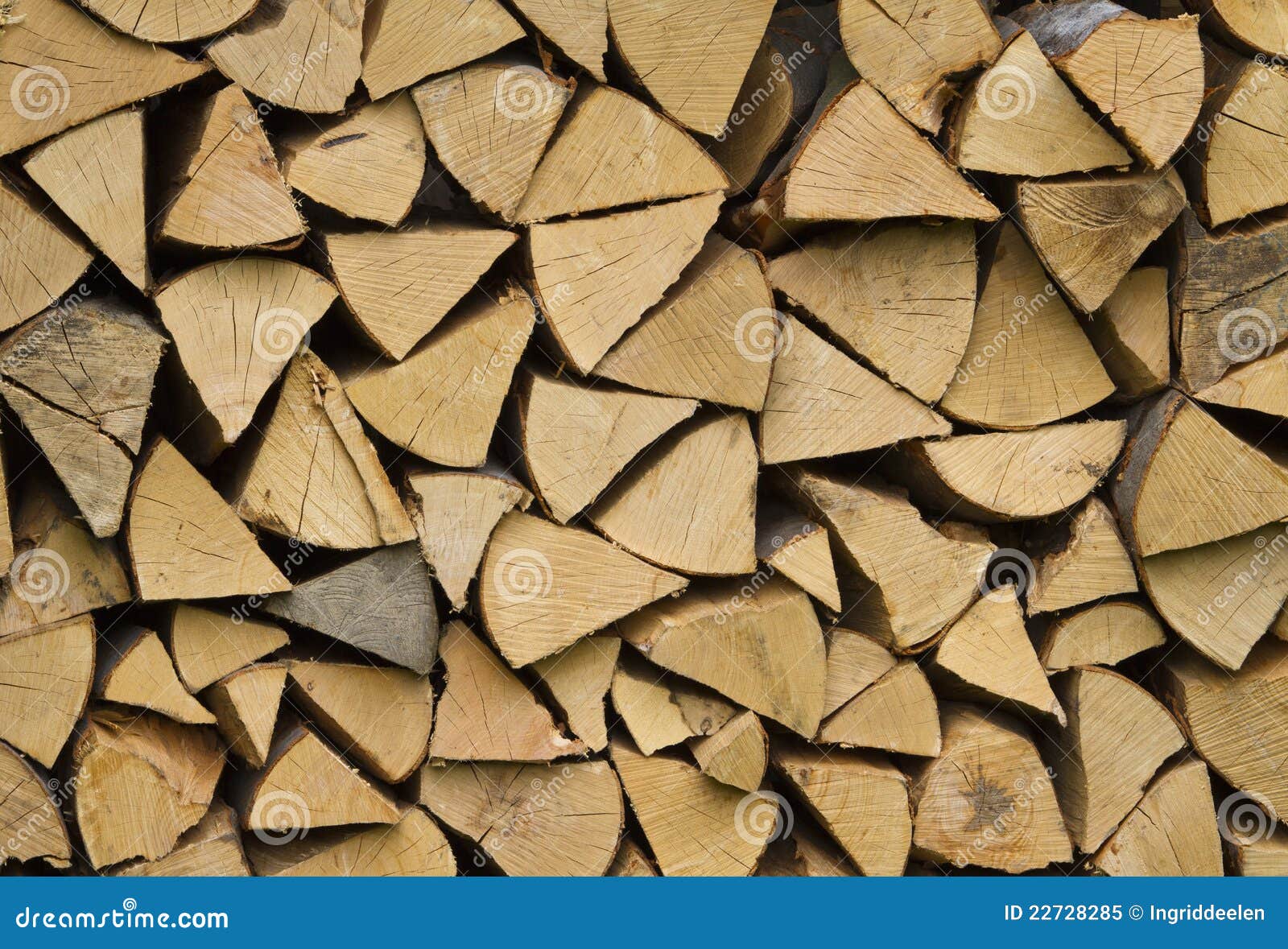 Stacks of logs stock image. Image of piles, trees, trunk - 22728285