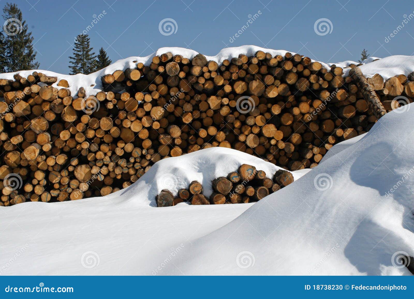 Stacks of Logs Cut by Loggers in the Snow Stock Photo - Image of trunk ...