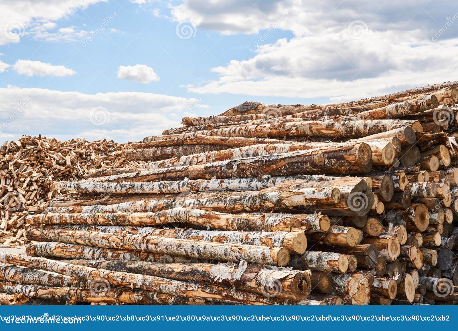 Stacks of Logs and Heap of Firewood Chocks in the Lumber Yard Stock ...