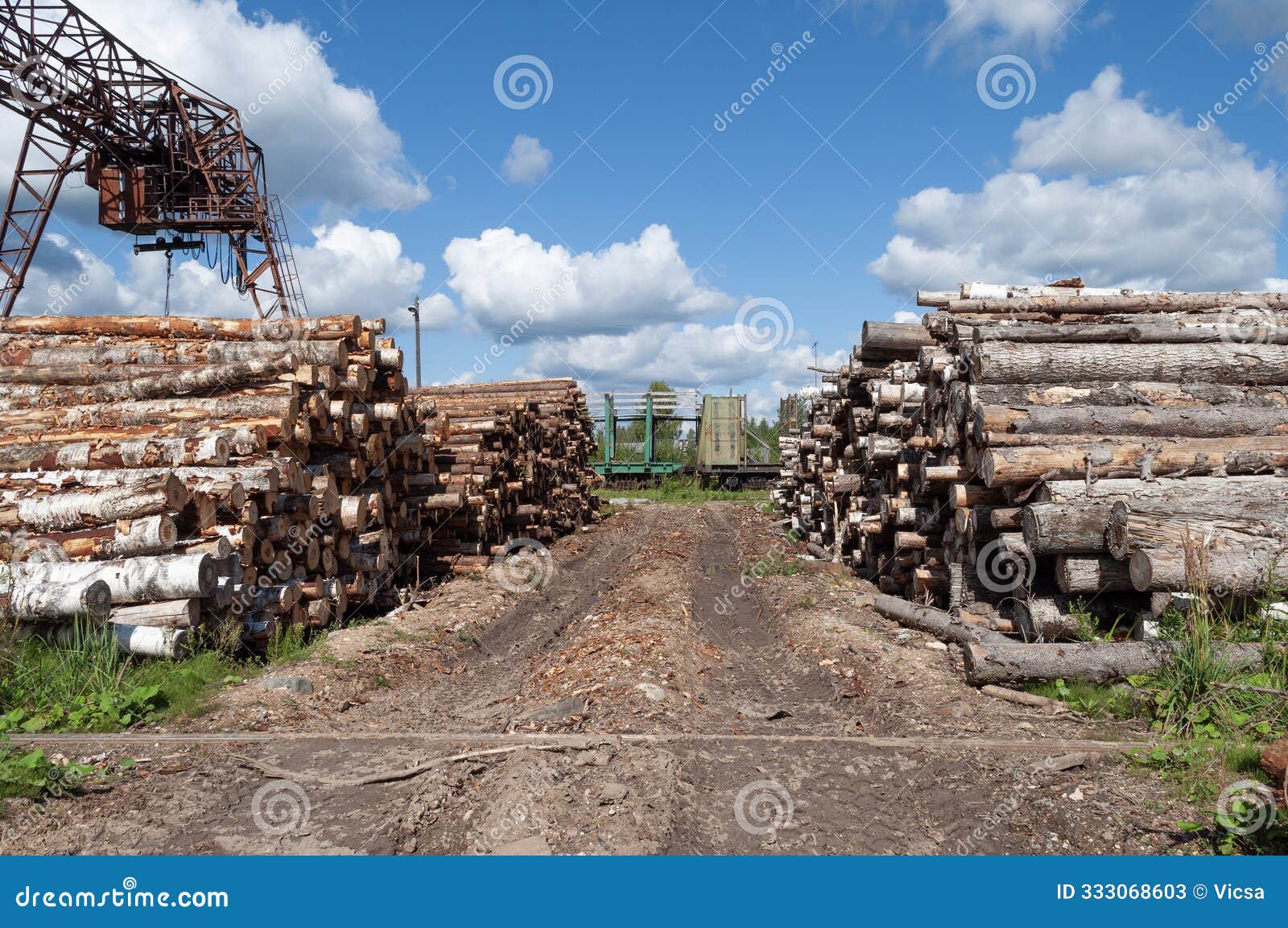 Stacks of Logs at Railway Station Stock Image - Image of logging ...