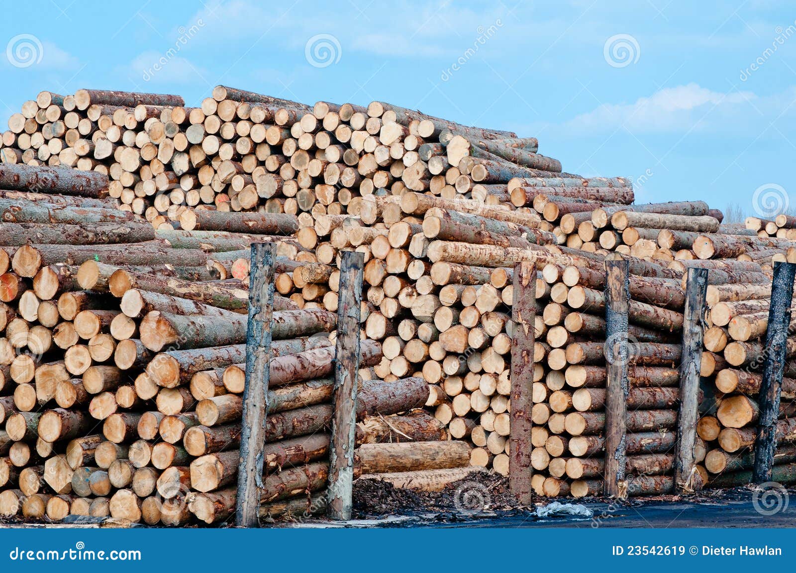Stacks of lumber stock image. Image of mill, softwood - 23542619
