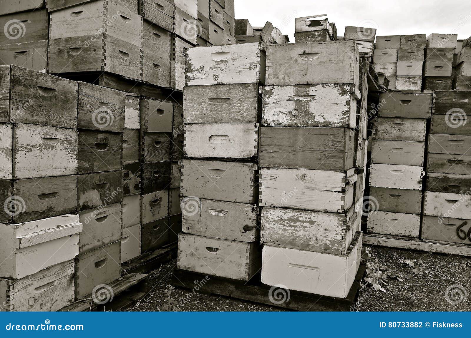Stacks of Old Bee Hive Boxes Stock Photo - Image of clover, pollination ...