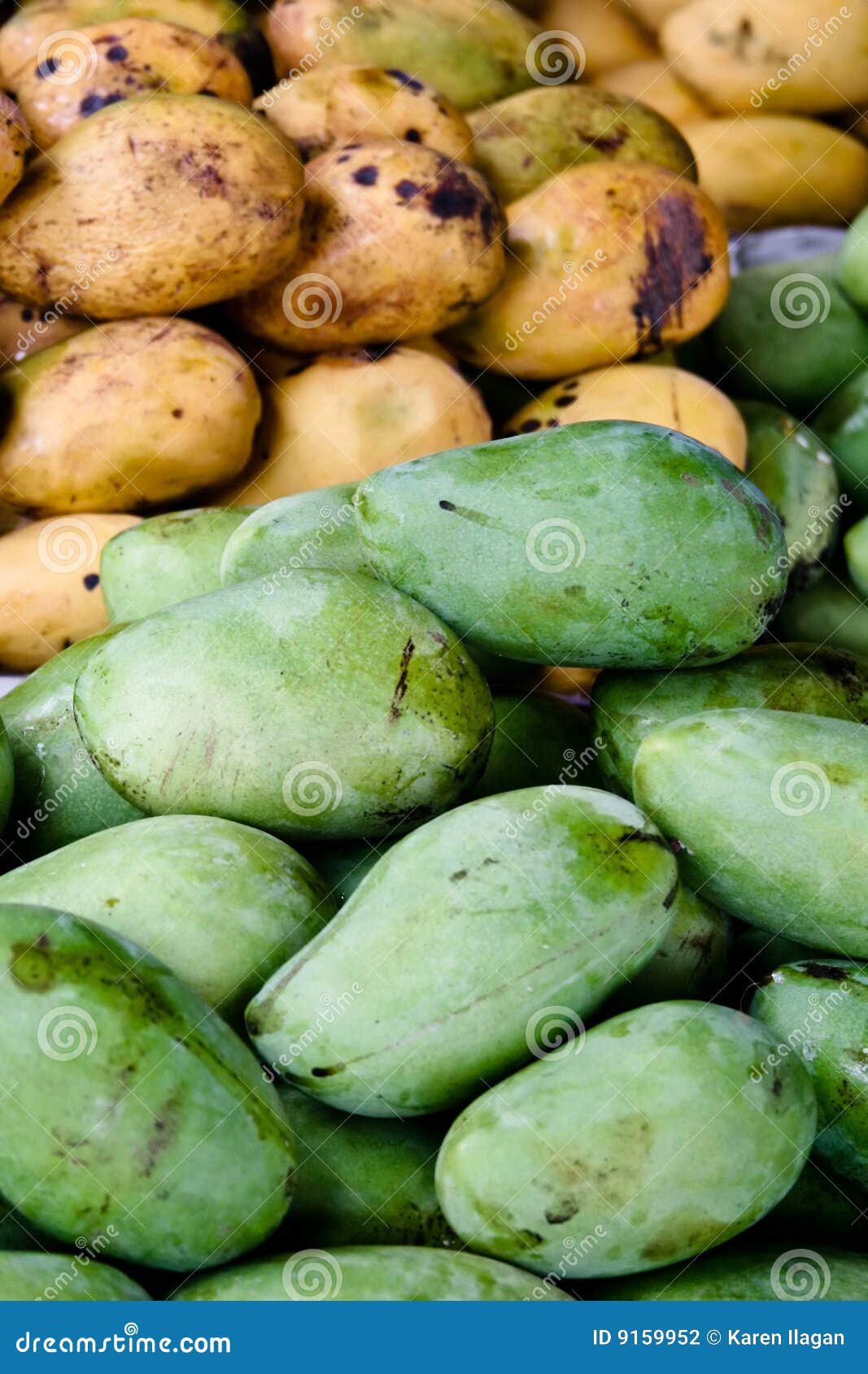 Stacks of Philippine Mangoes on Display in Market Stock Photo - Image ...