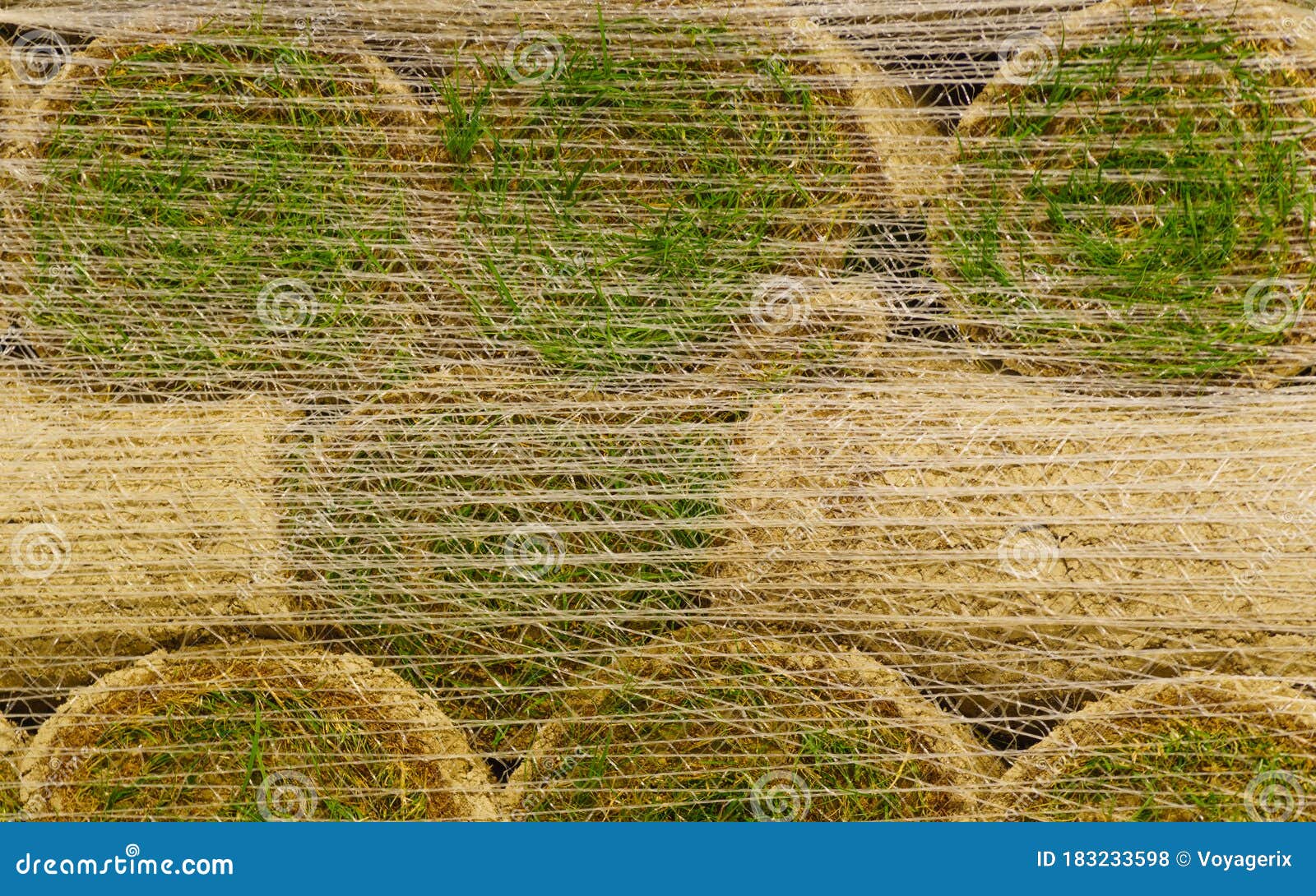 Stacks of Sod Rolls for New Lawn Stock Photo - Image of natural, garden ...