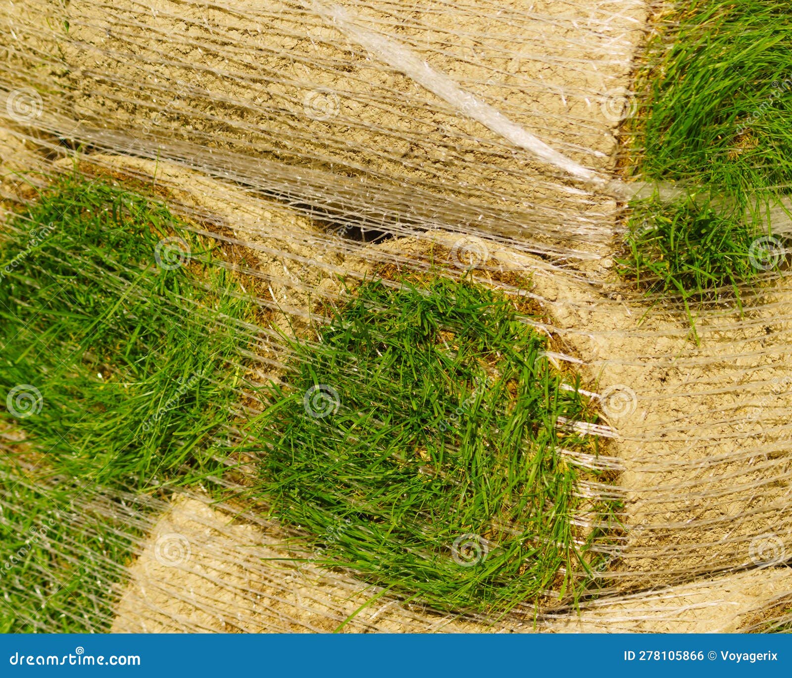 Stacks of Sod Rolls for New Lawn Stock Photo - Image of installation ...