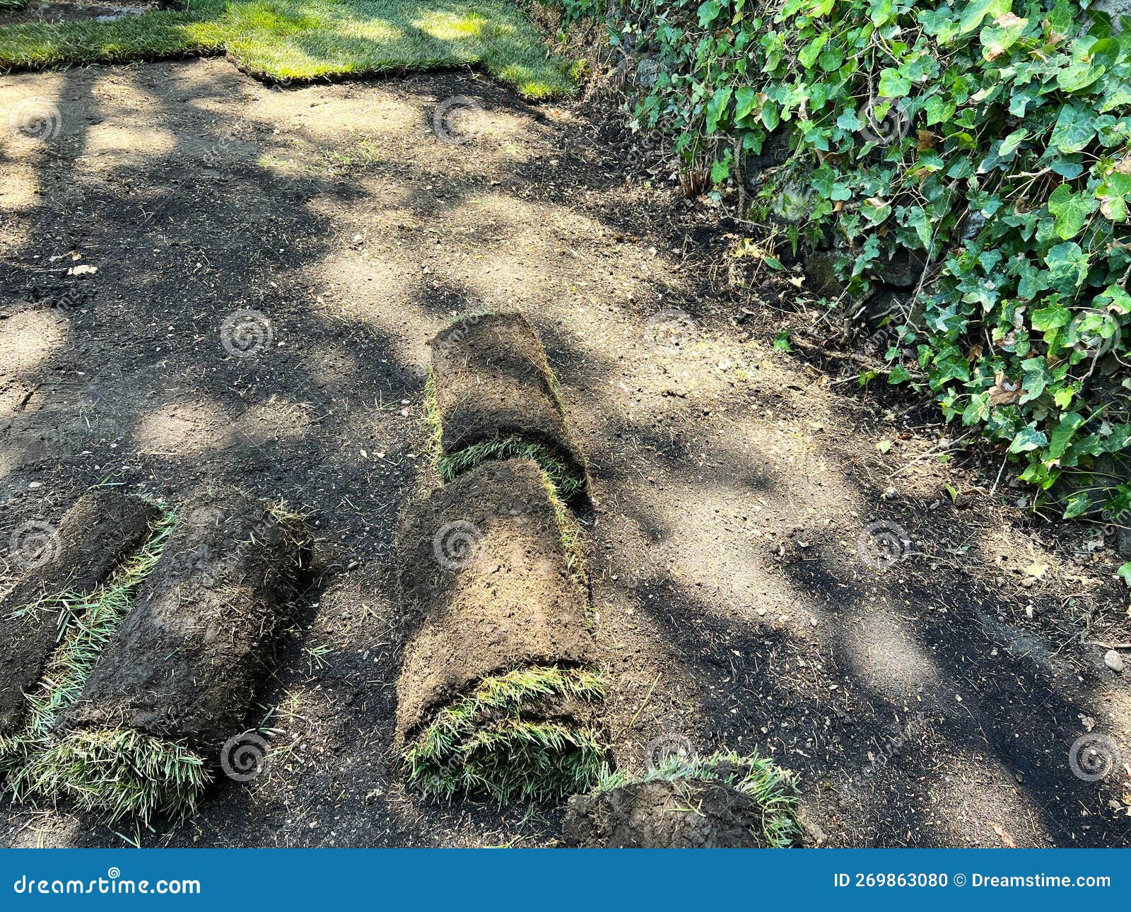 Stacks of Sod Rolls for New Lawn Stock Photo - Image of nature, rolled ...