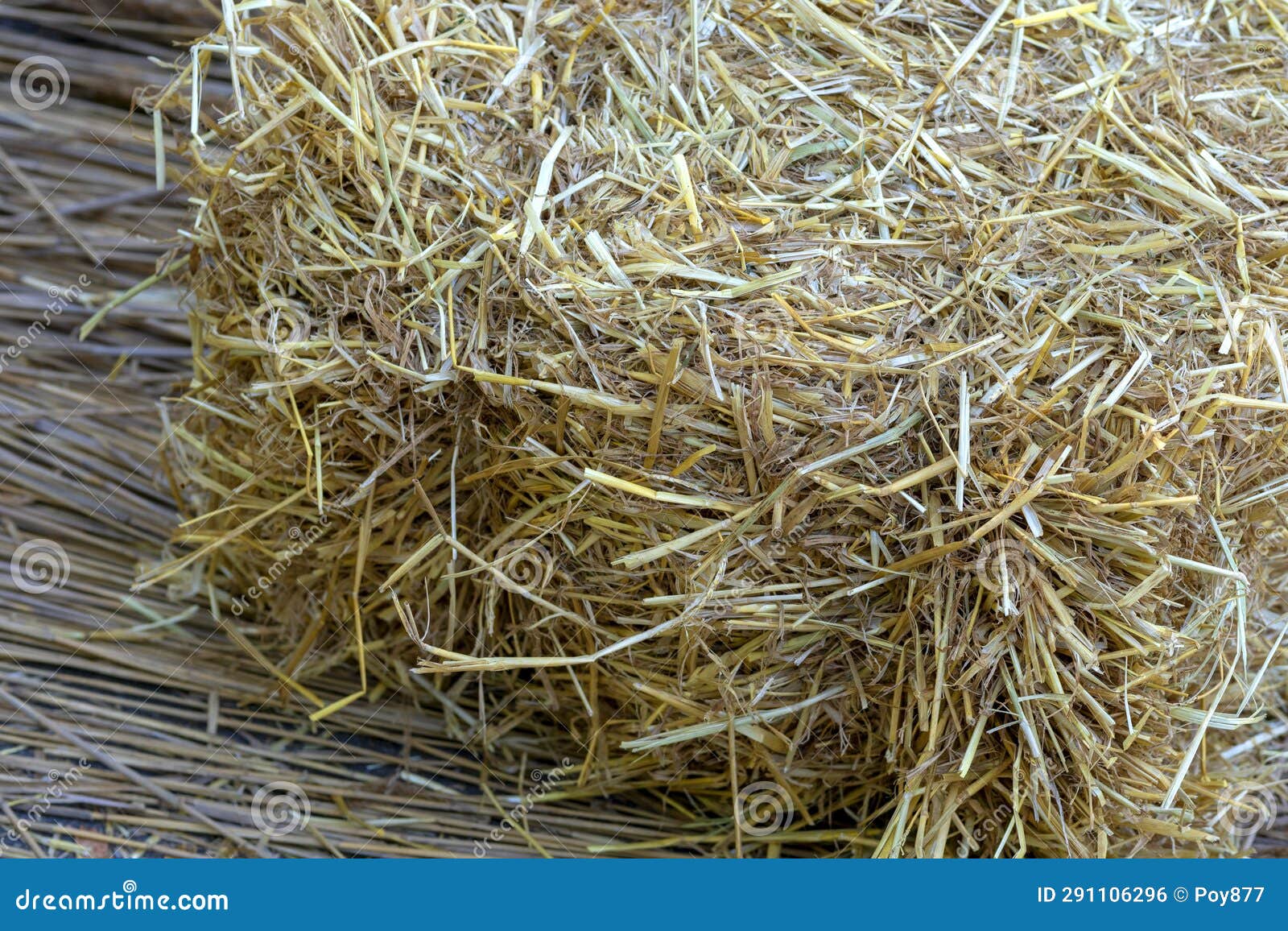 Stacks of Straw. Alternative Fuel Source Stock Photo - Image of nature ...