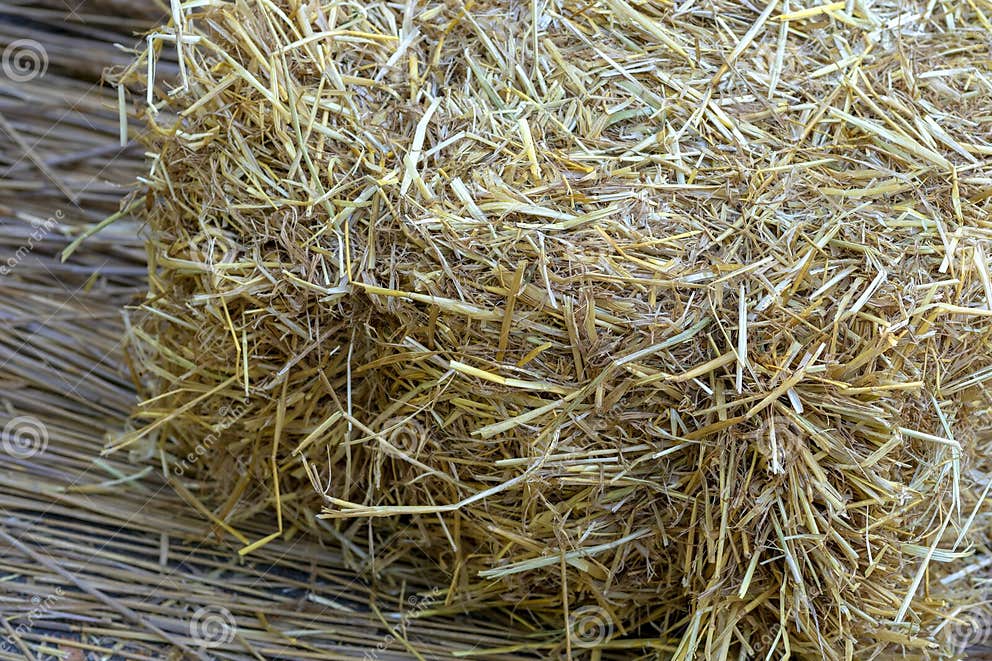 Stacks of Straw. Alternative Fuel Source Stock Photo - Image of nature ...