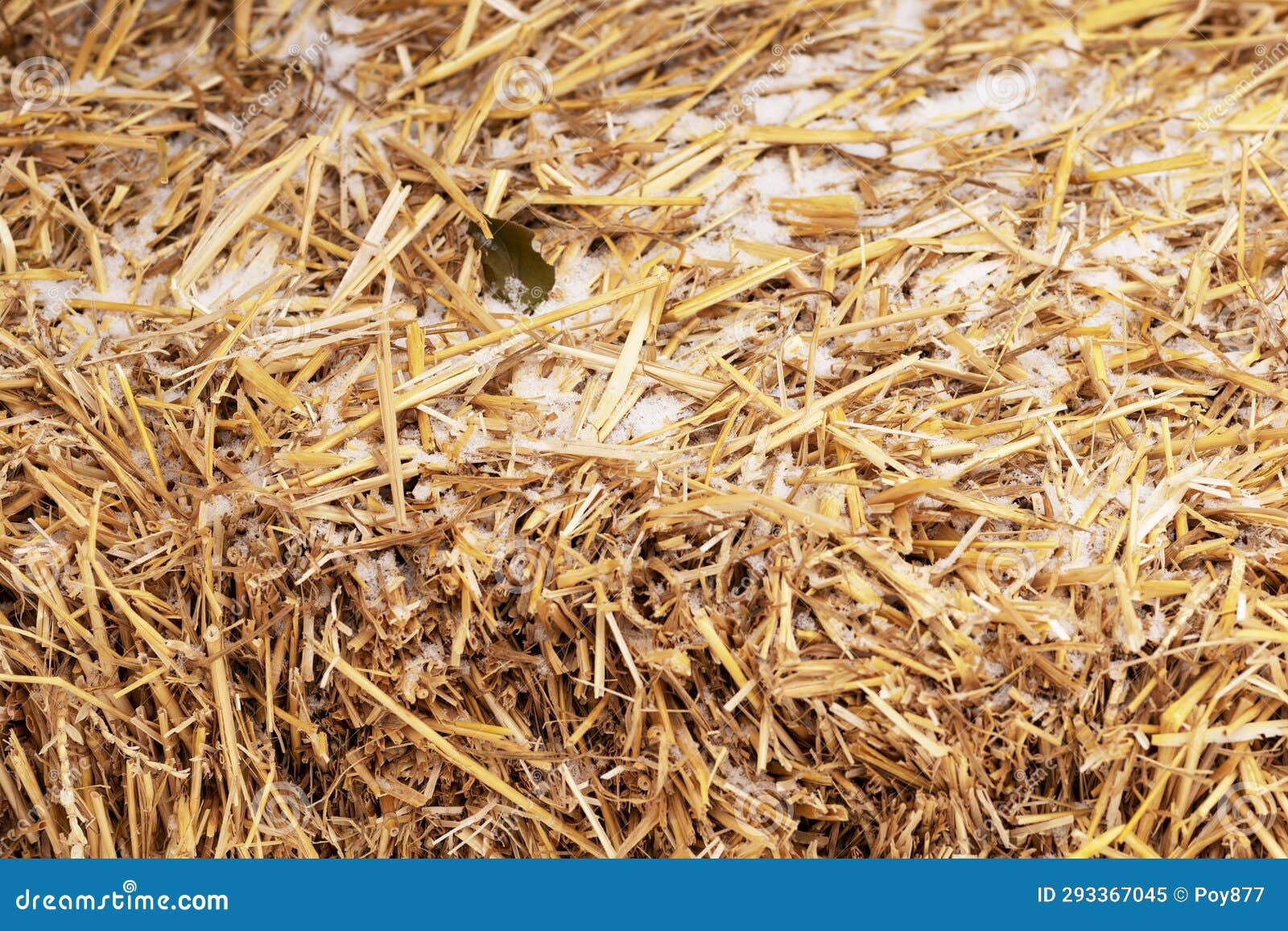 Stacks of Straw. Alternative Fuel Source Stock Image - Image of wheat ...