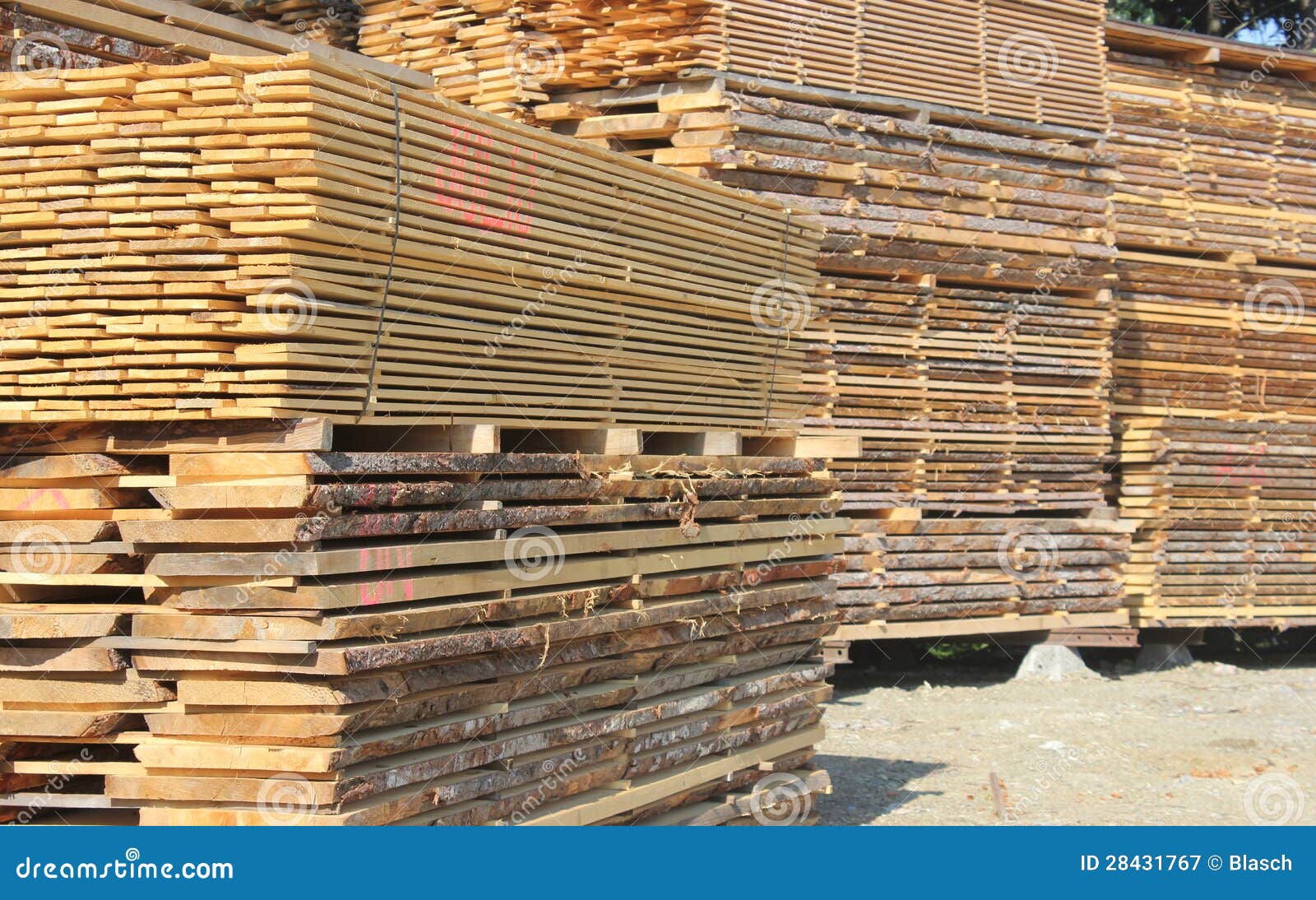 Stacks of Timber - Close Up Stock Image - Image of board, pallet: 28431767