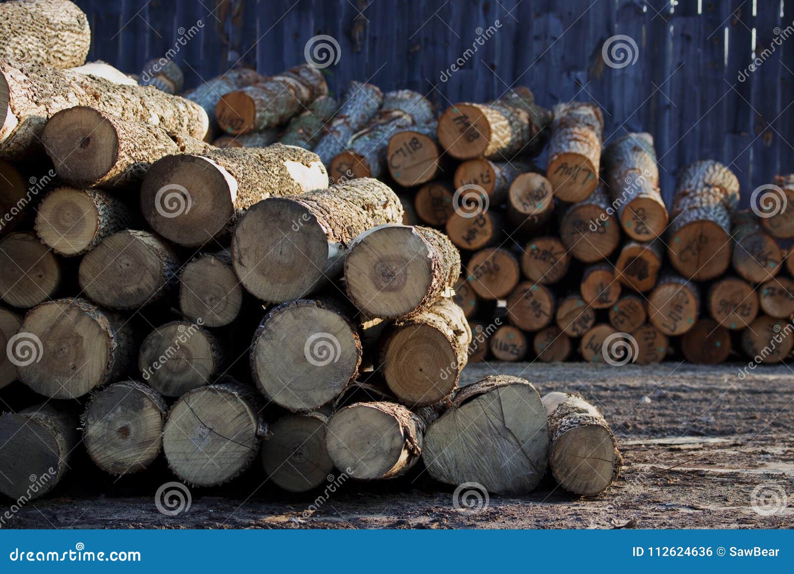 Stacks of Timber in a Lumber Yard Stock Photo - Image of deforestation ...