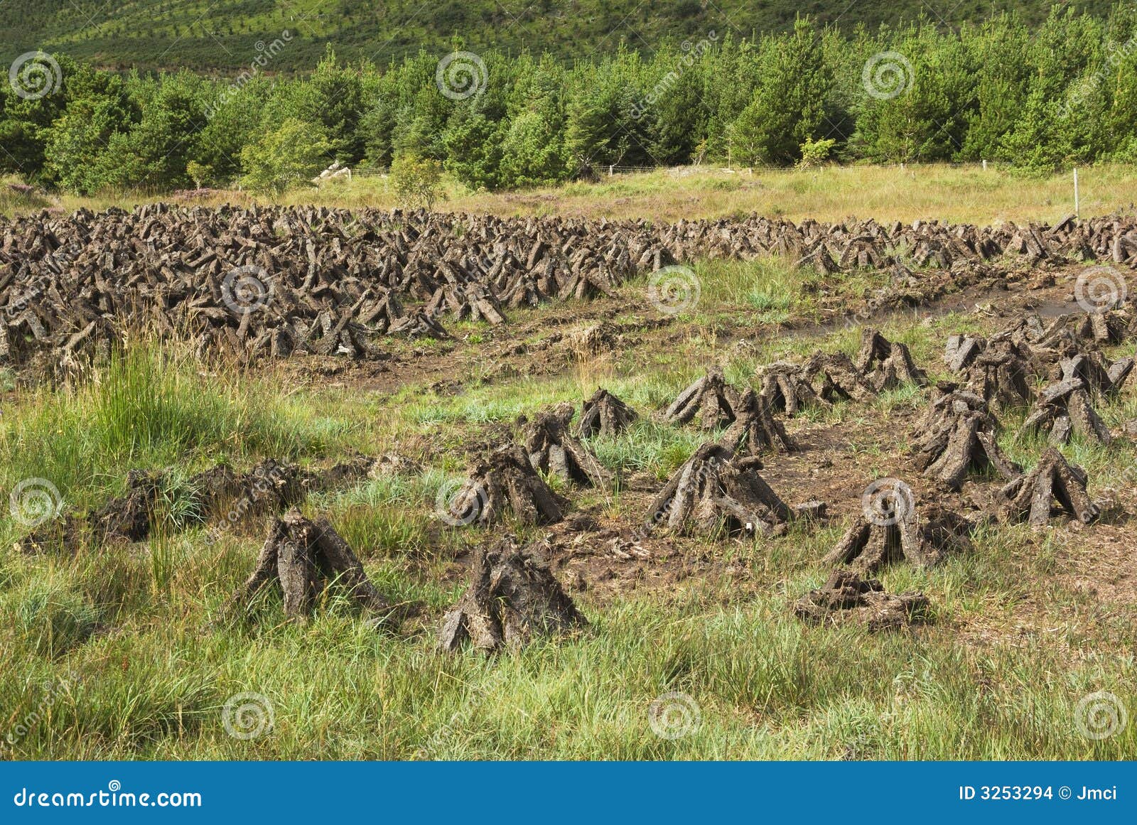 Stacks of turf in Ireland stock photo. Image of marsh - 3253294