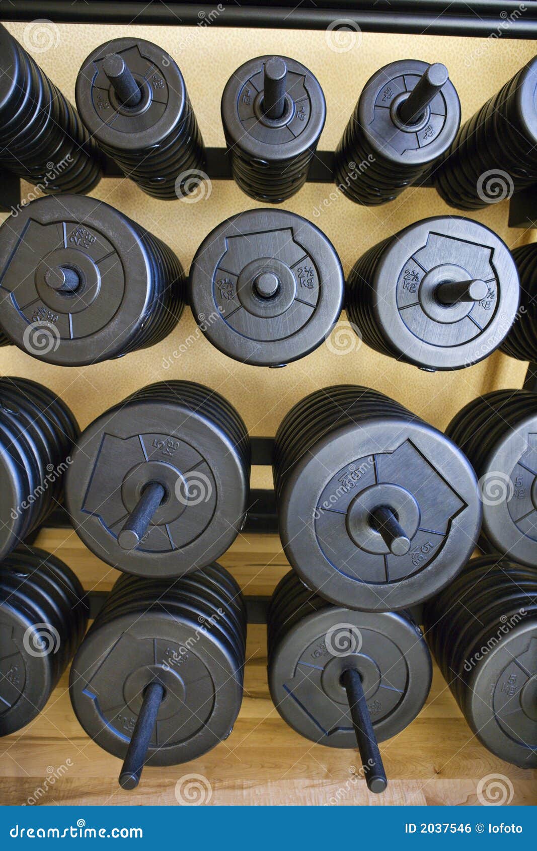 Stacks of weights at gym. stock photo. Image of weights - 2037546