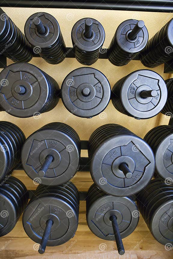 Stacks of weights at gym. stock photo. Image of weights - 2037546
