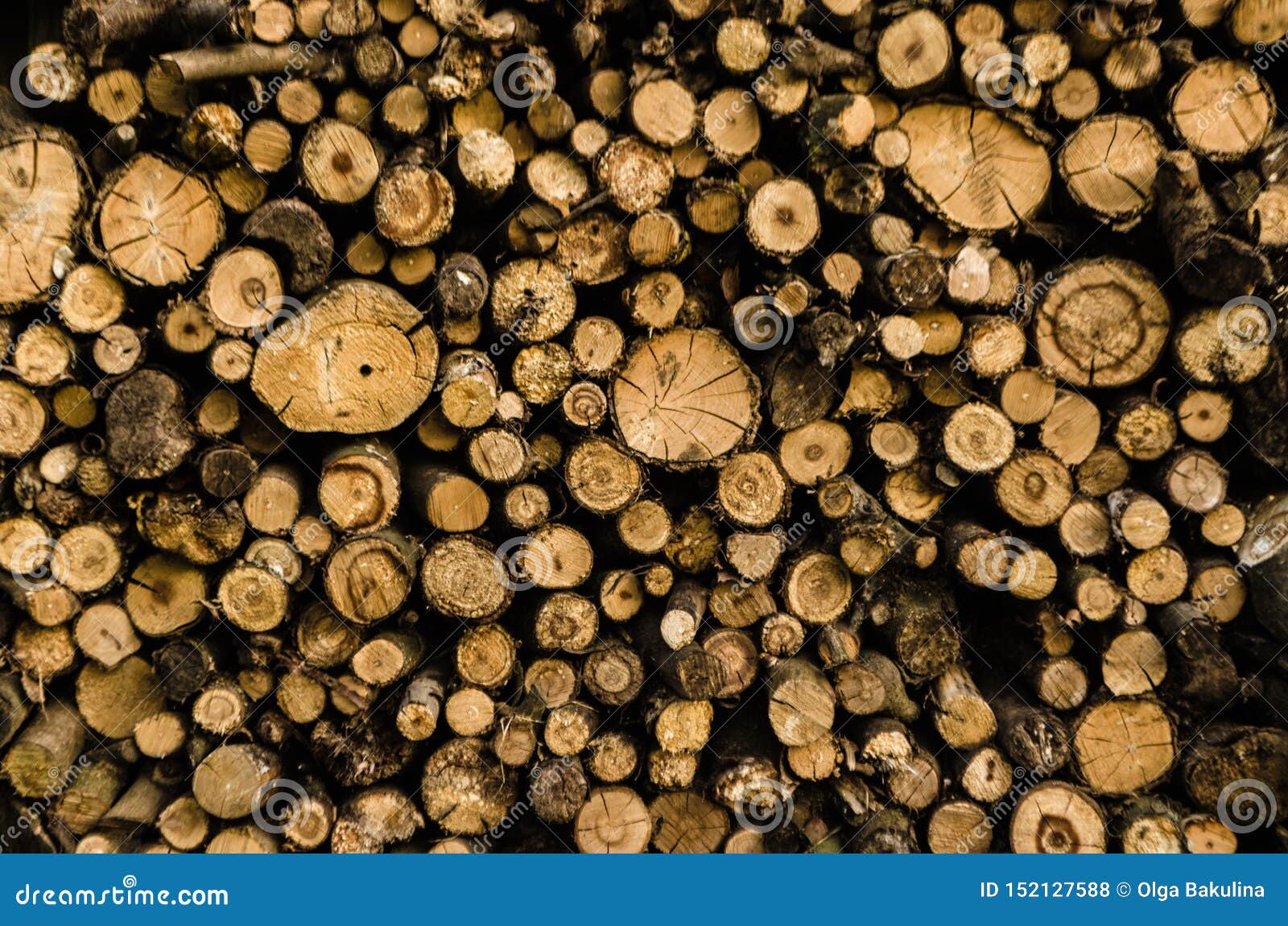 Stacks Wood Timber Background. Pile Of Wood Logs Storage For Industry ...